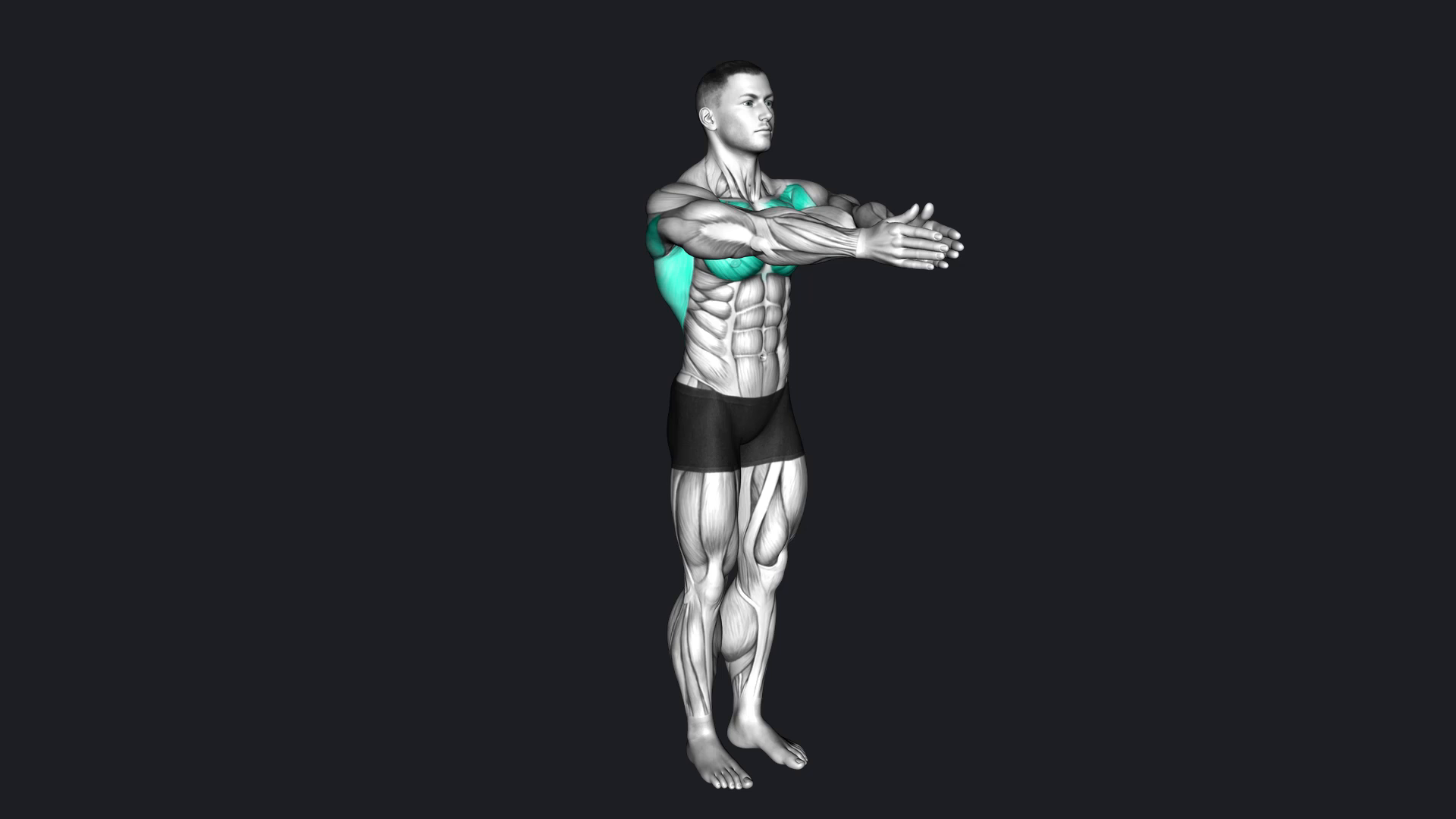 Dynamic Chest Stretch - how to do, Alternatives, gif & More