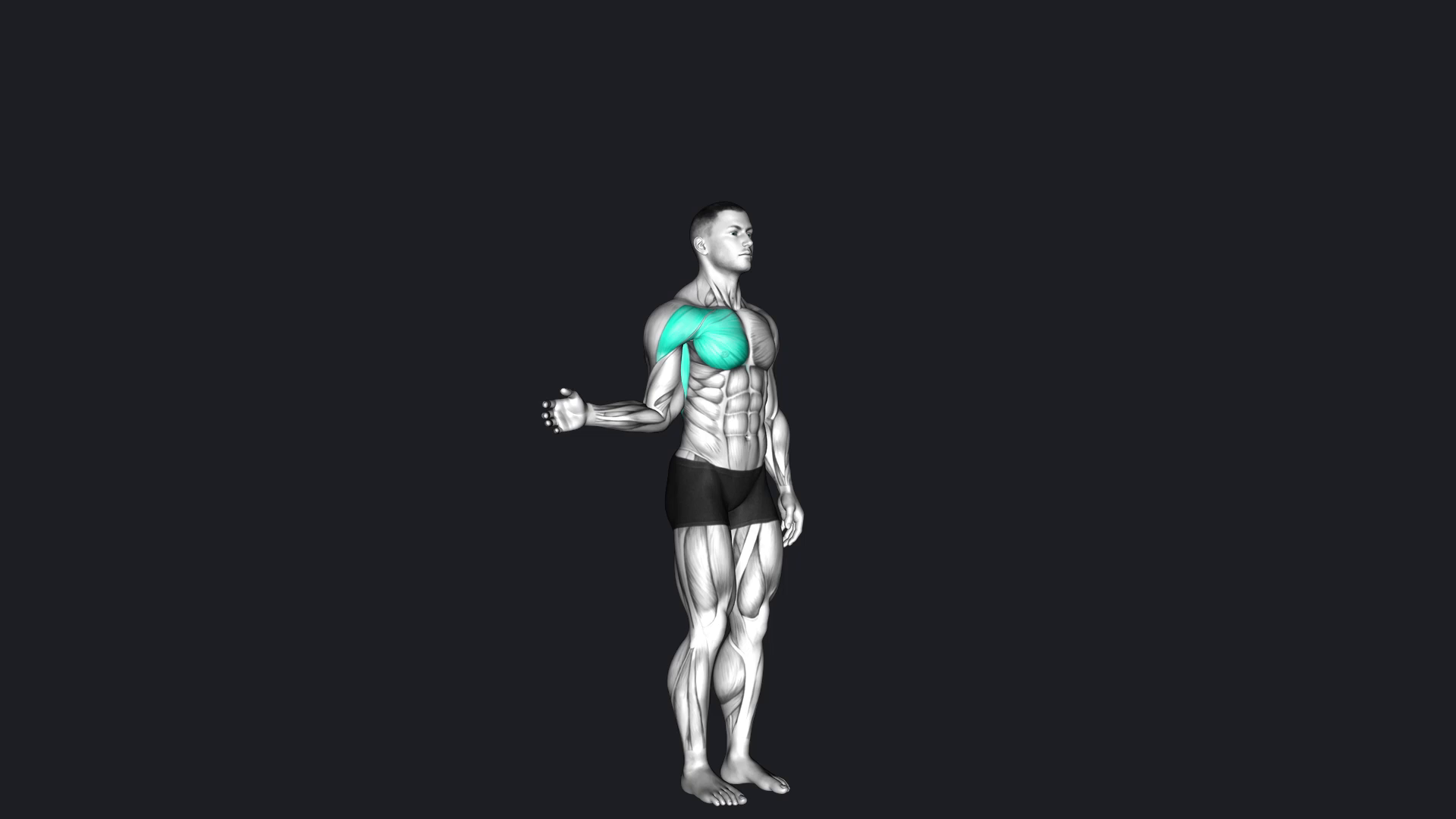Shoulder Medial and Lateral Rotation - how to do, Alternatives, gif & More