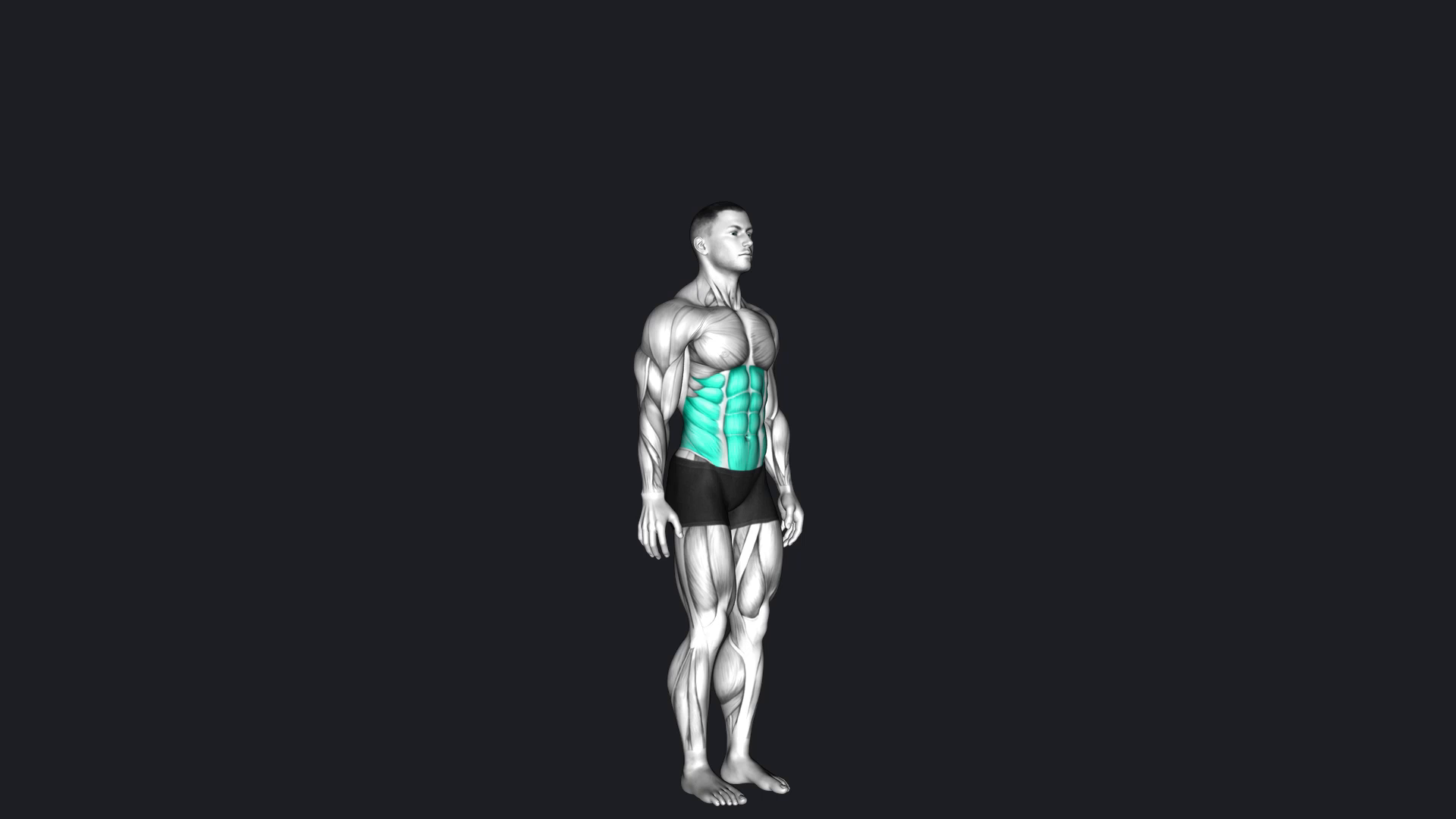 Standing Lumbar Flexion - how to do, Alternatives, gif & More