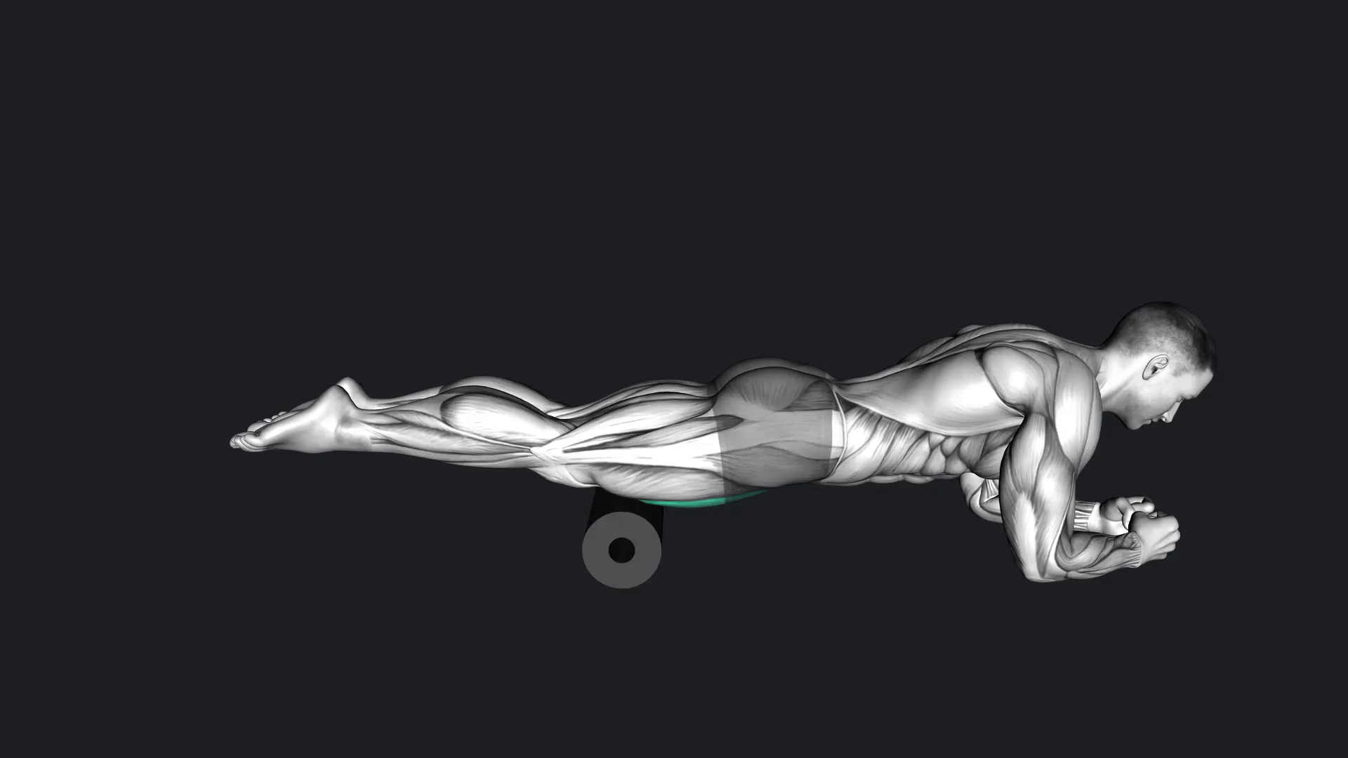 Foam Roll Rectus Femoris - how to do, Alternatives, gif & More