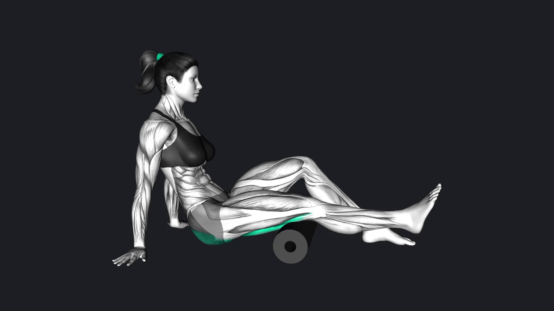 Foam Roll Hamstrings and Glute - how to do, Alternatives, gif & More