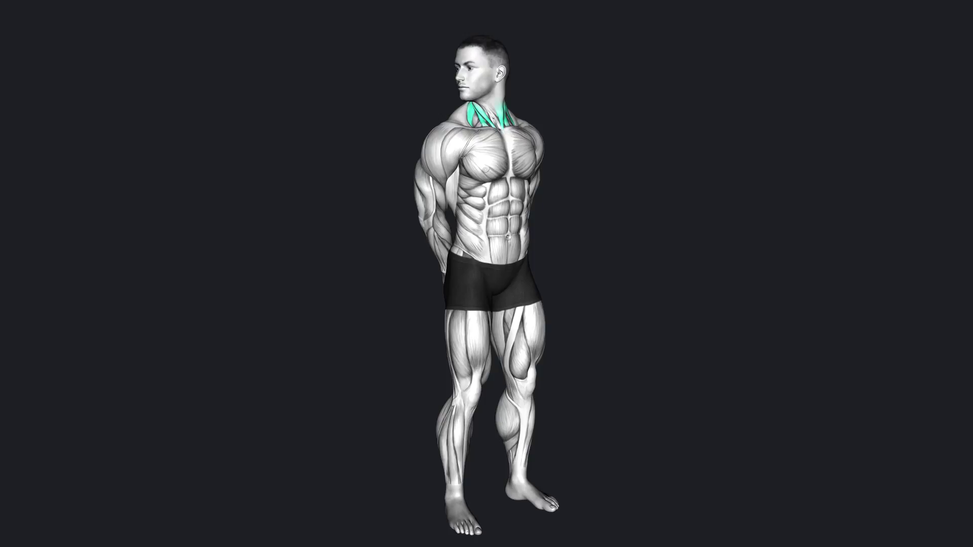 Rotating Neck Stretch - how to do, Alternatives, gif & More