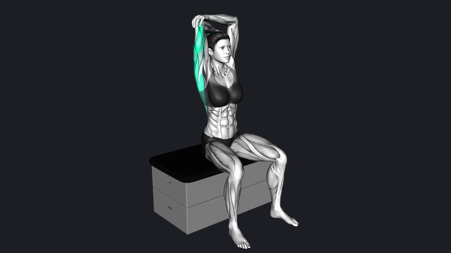 Shoulder Inferior Capsule Stretch - how to do, Alternatives, gif & More