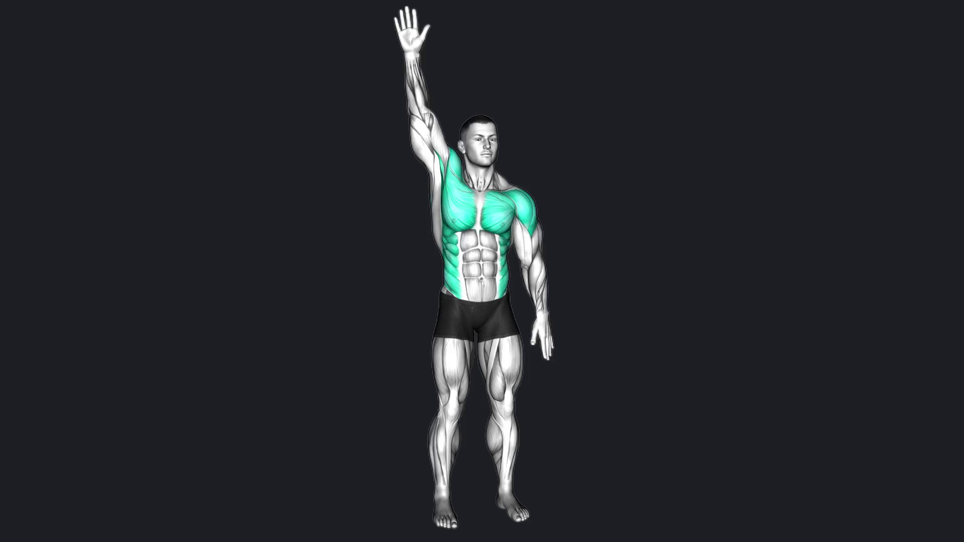 Standing Swimmer Stretch - how to do, Alternatives, gif & More