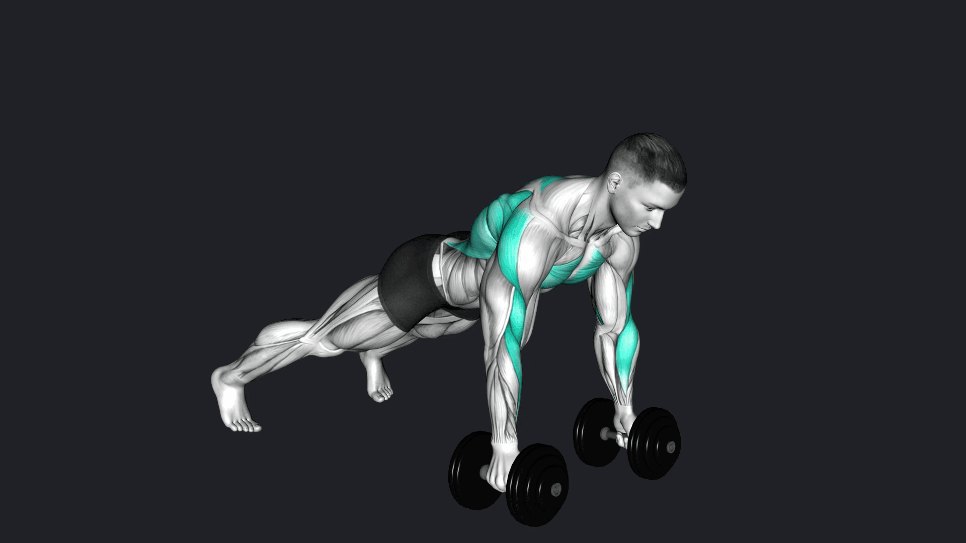 Renegade Row vs Dumbbell Row