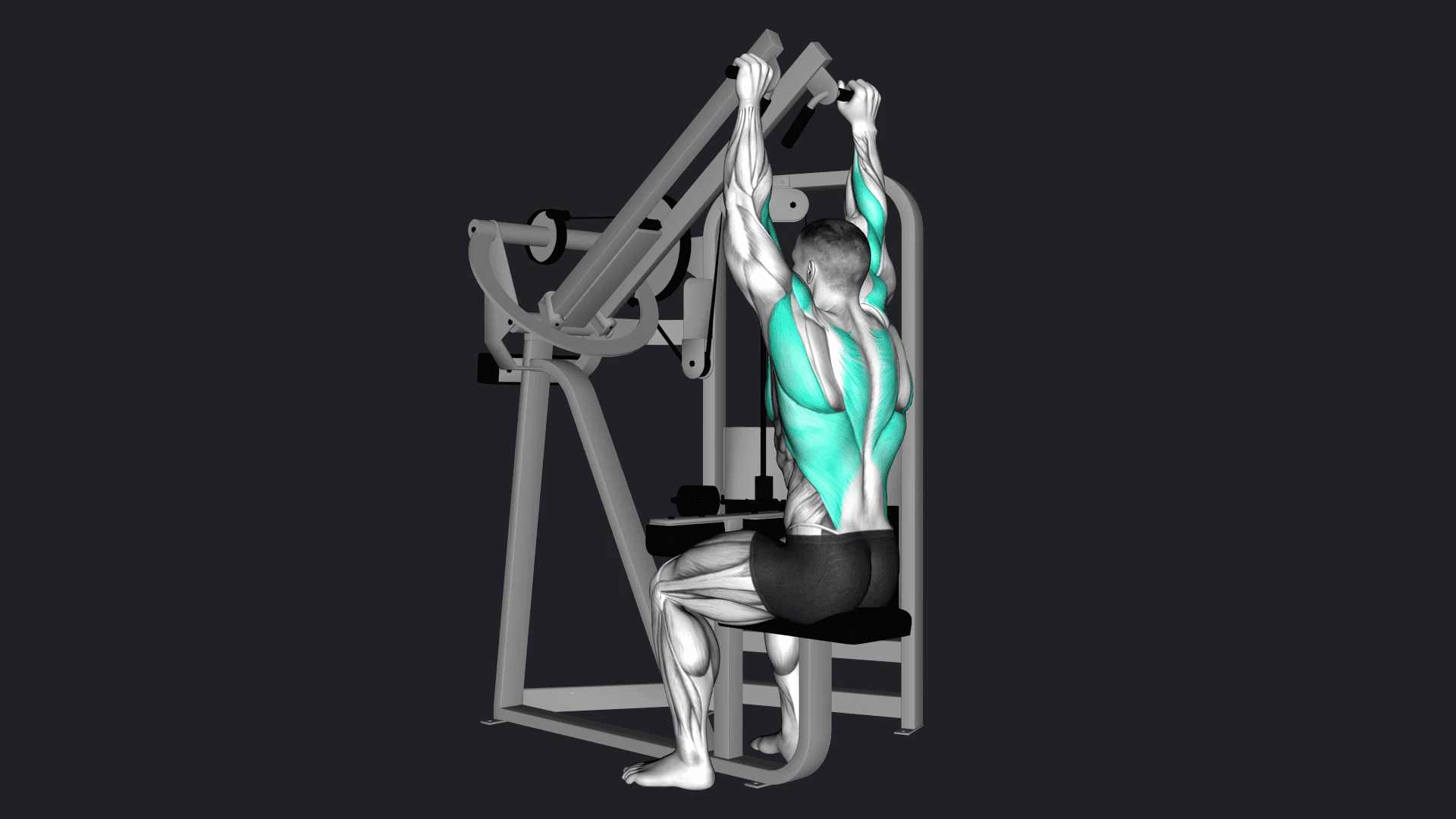 Over Grip Wide Pulldown Rear Machine vs Neutral Grip Lat Pulldown