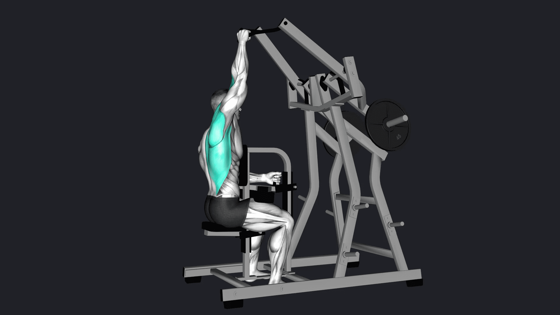 One Arm Lat Pulldown Machine vs Jumping Pull Up