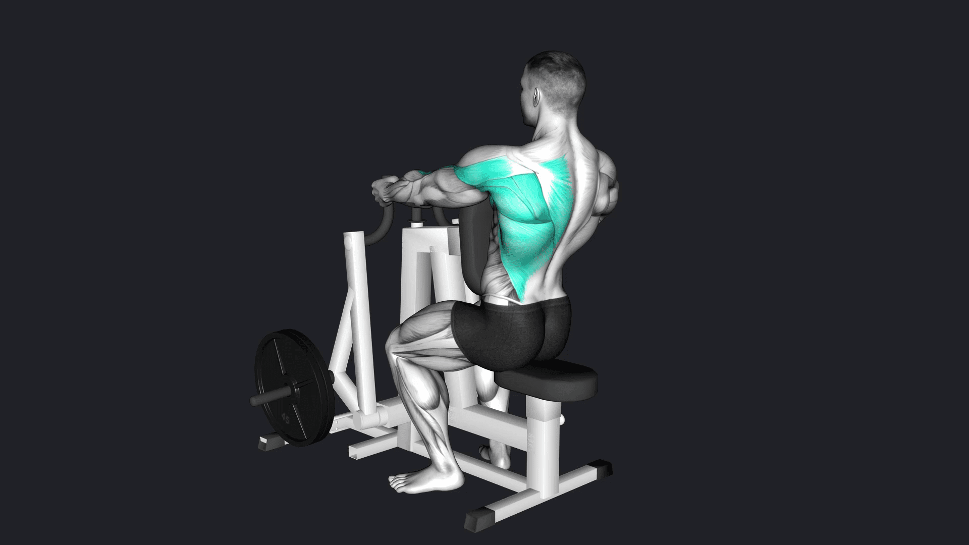 One Arm Machine Seated Row vs One Arm Kettlebell Row One Arm Machine Seated Row vs One Arm Kettlebell Row
