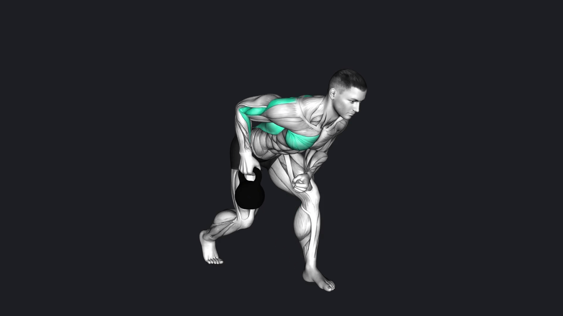 One Arm Kettlebell Row vs Underhand Cable Lat Pulldown