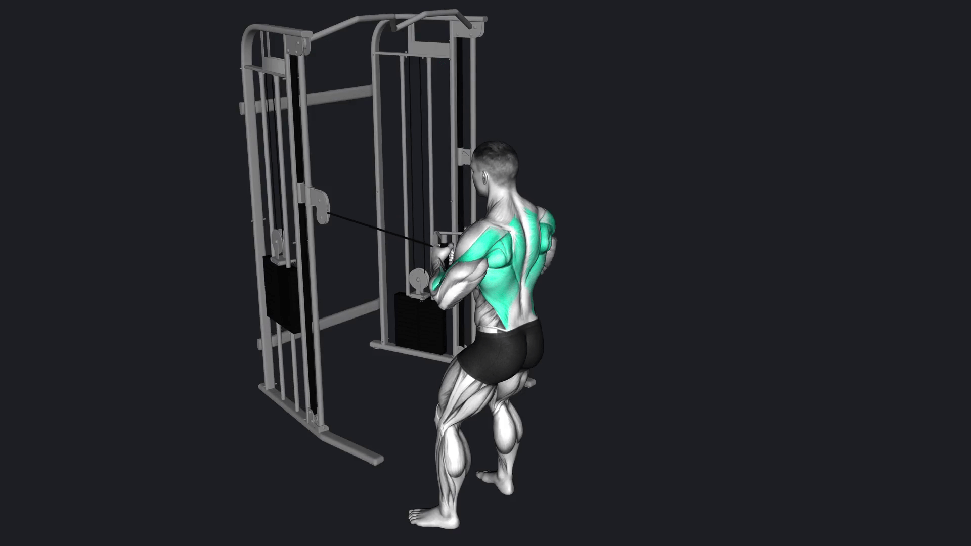 Standing Cable Row vs One Arm Wide Pulldown Machine