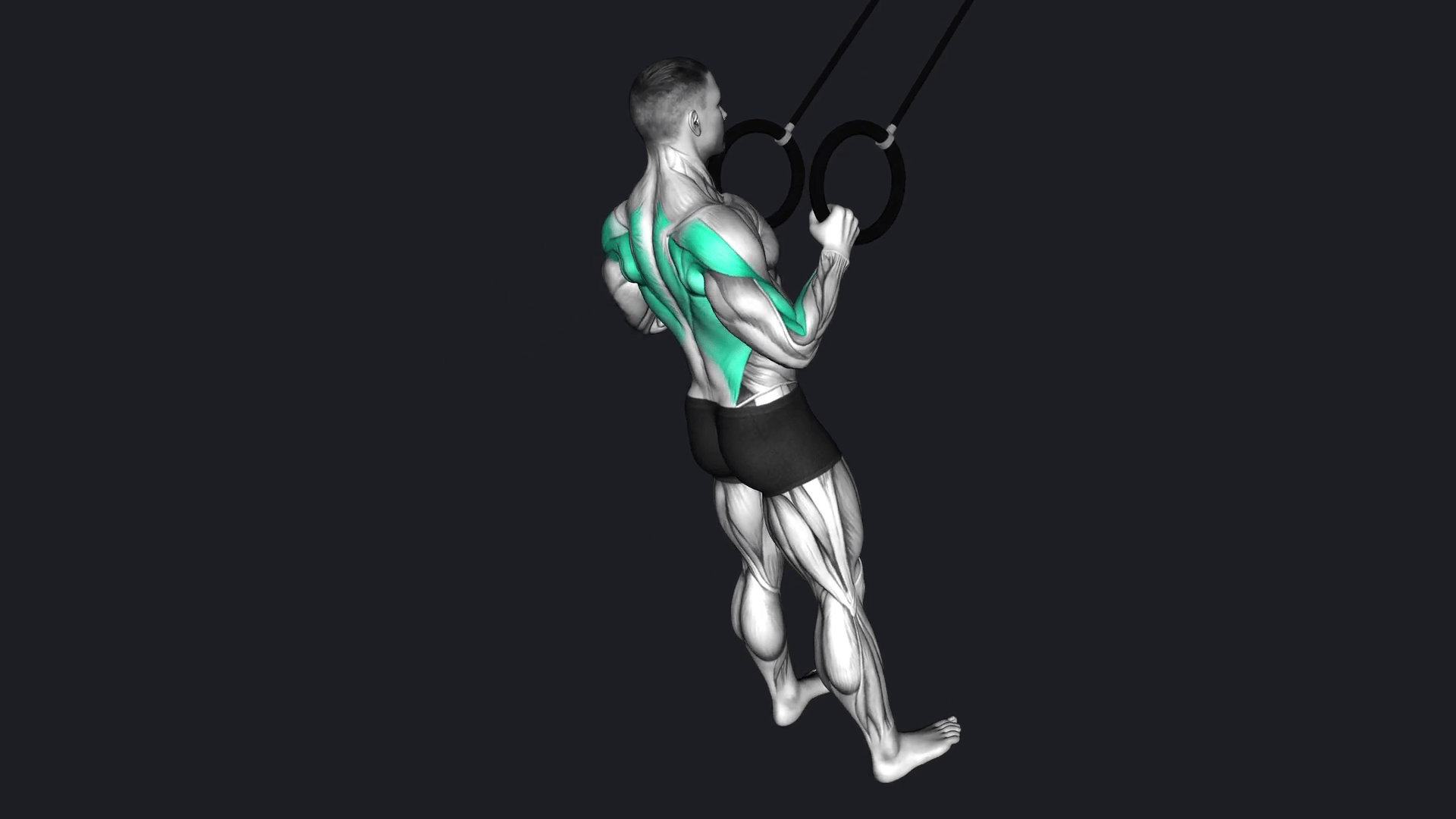 Ring High Row vs Jumping Pull Up