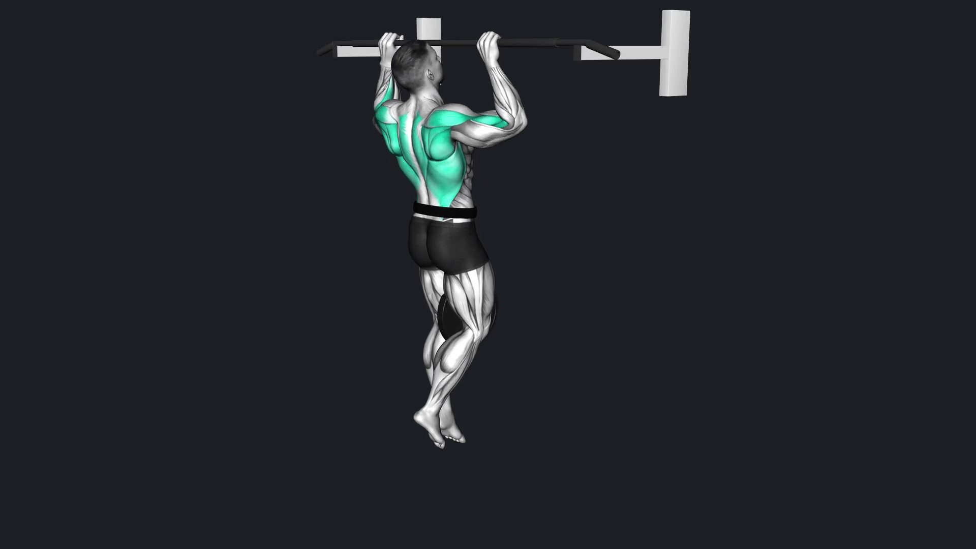 Weighted Pull Up vs One Arm Pull Up