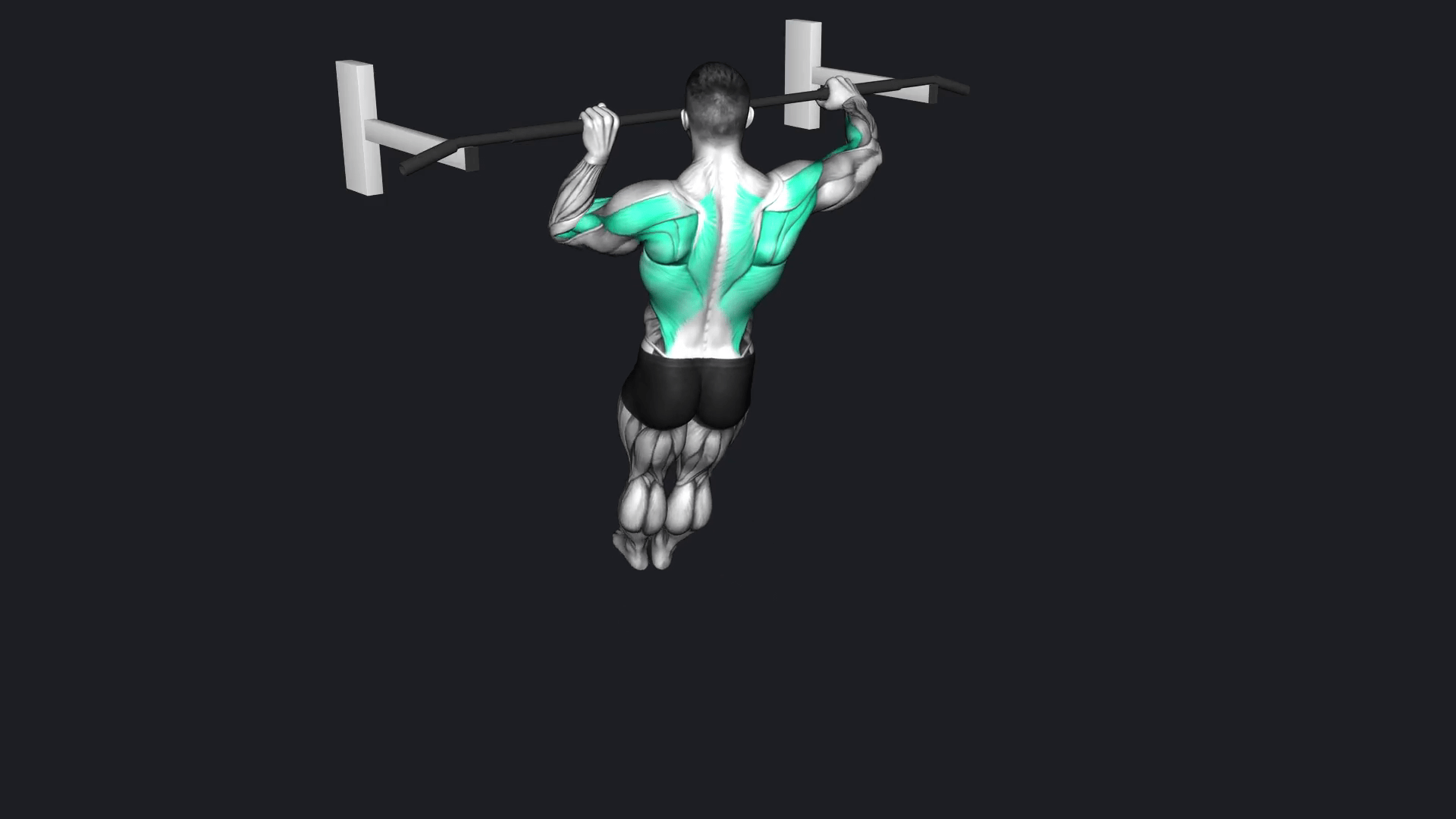 Archer Pull Up vs Underhand Cable Lat Pulldown