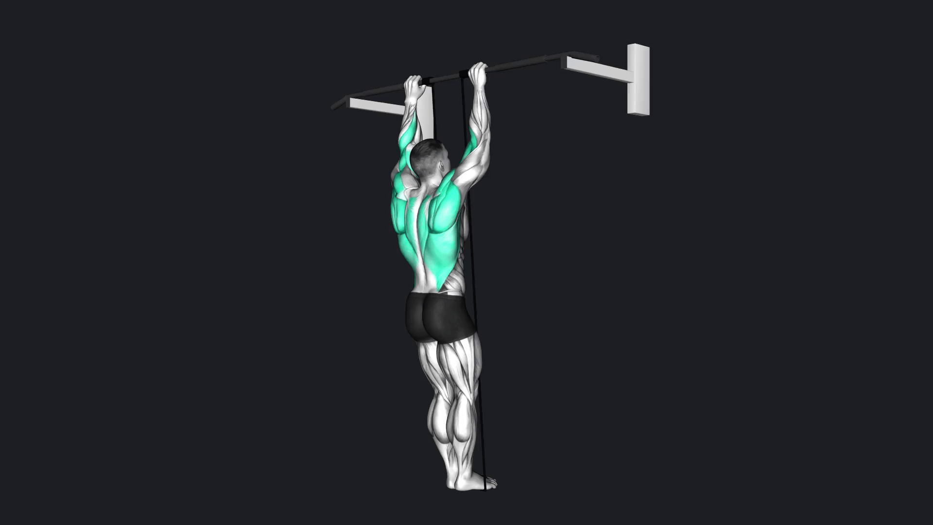 Band Assisted Pull Up - how to do, Alternatives, gif & More