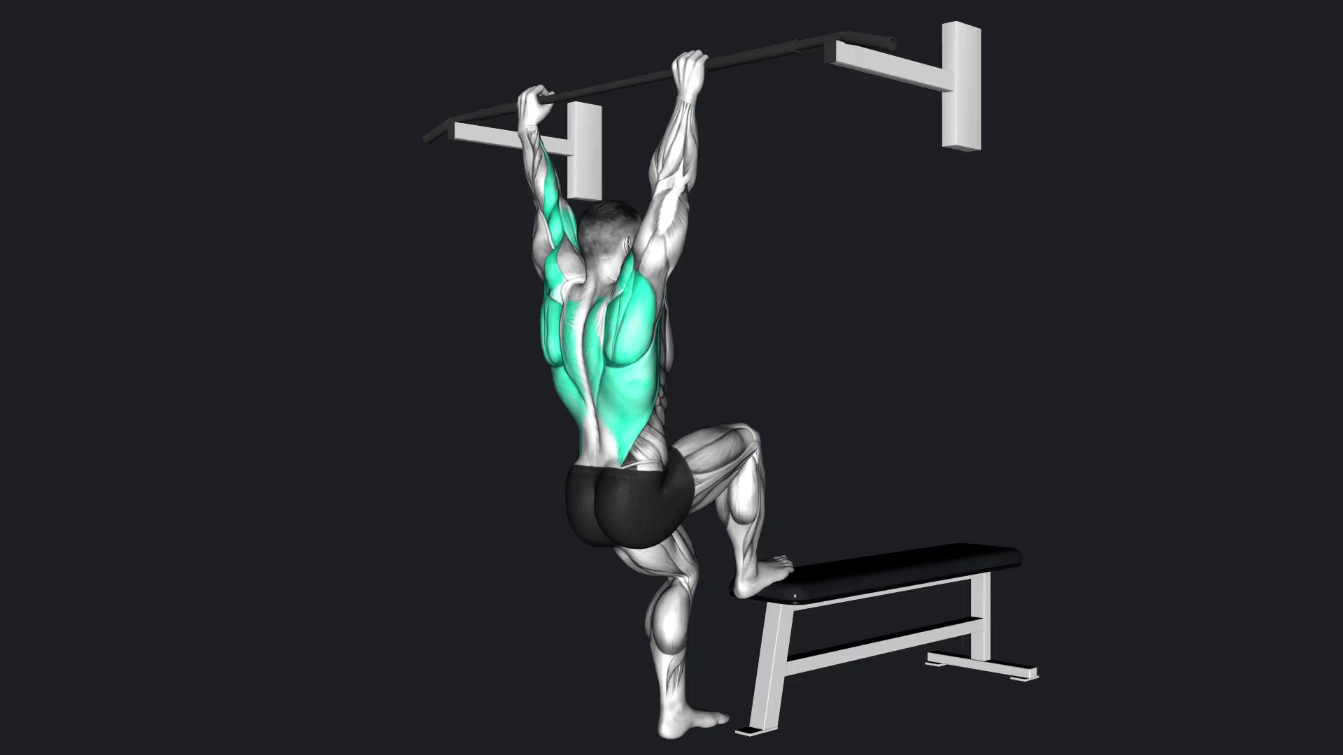 Bench Pull Up - how to do, Alternatives, gif & More