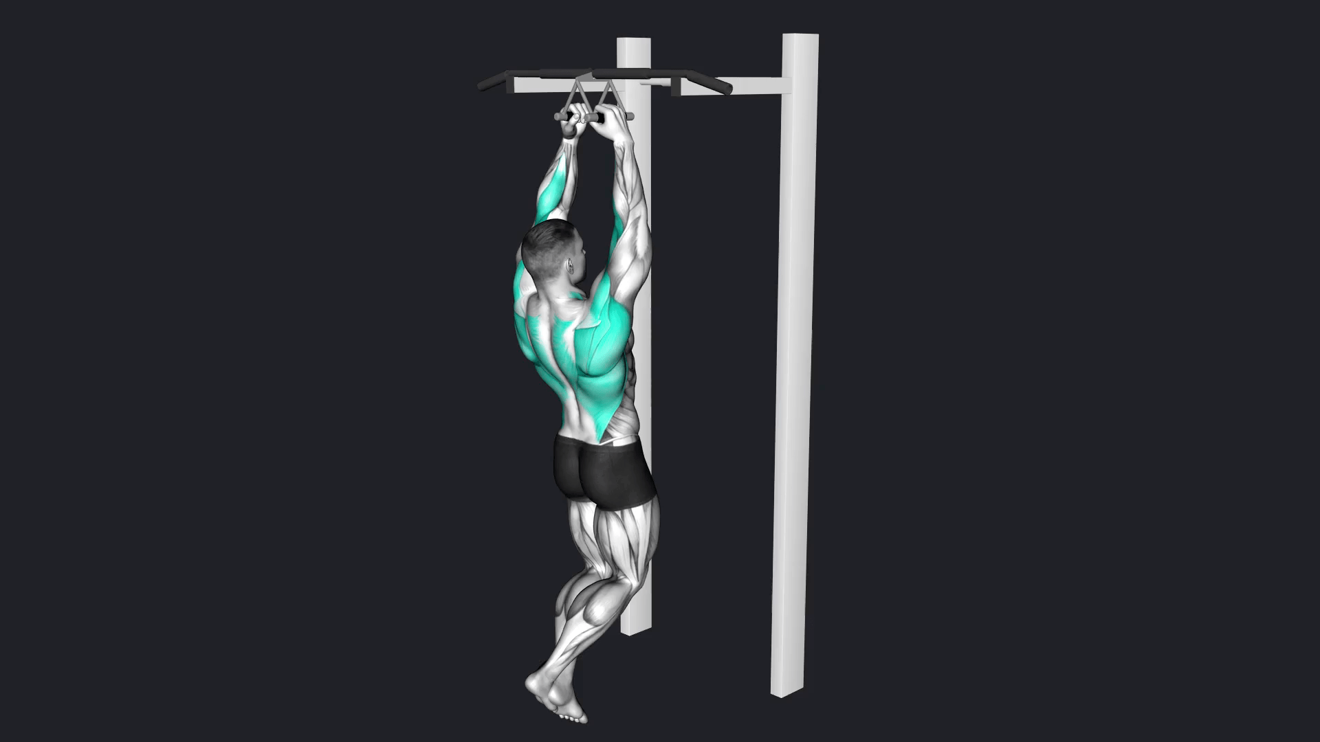 Neutral Grip Chin Up - how to do, Alternatives, gif & More