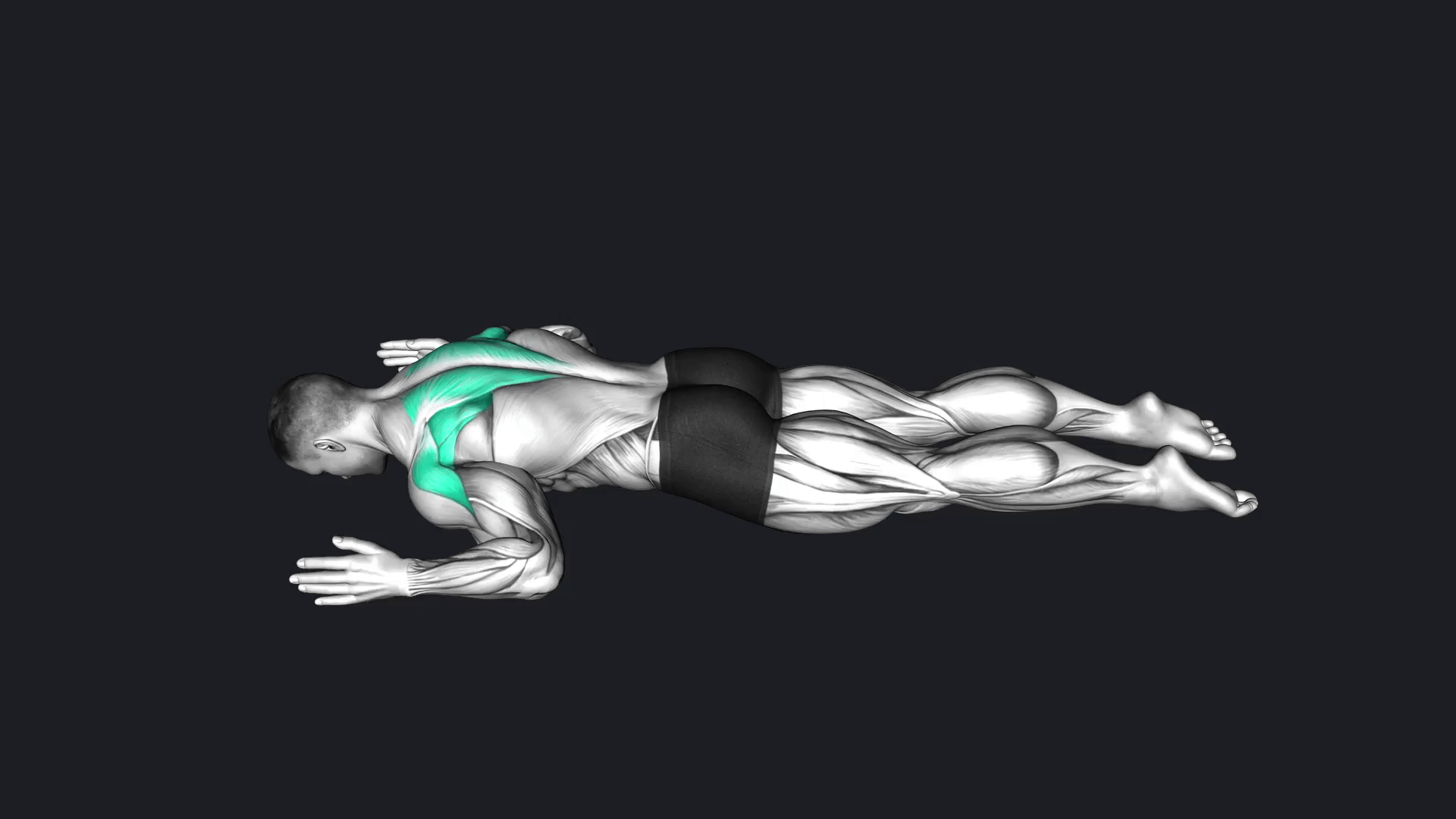 Prone W Raise - how to do, Alternatives, gif & More