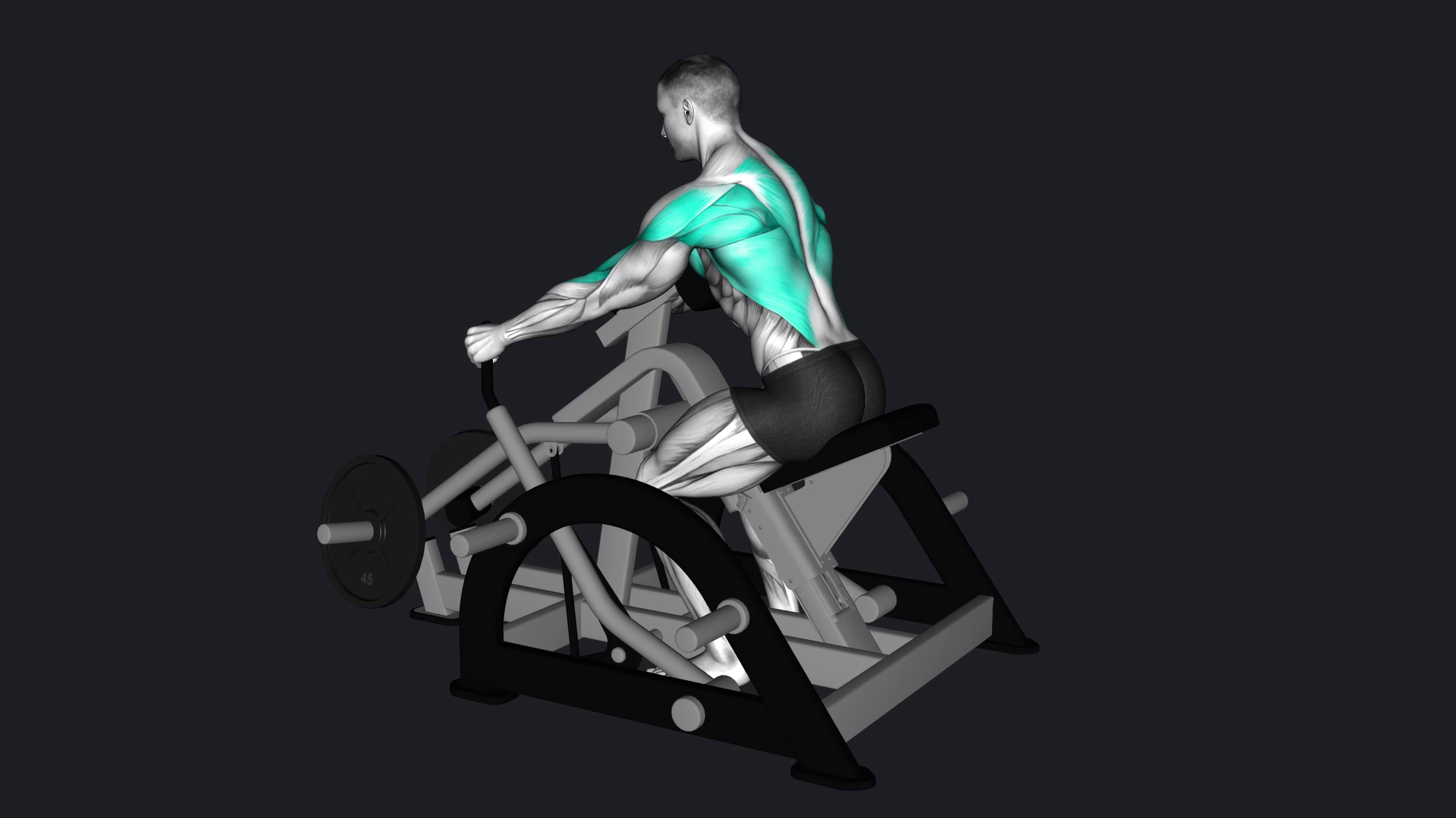 Hammer Strength Seated Row - how to do, Alternatives, gif & More