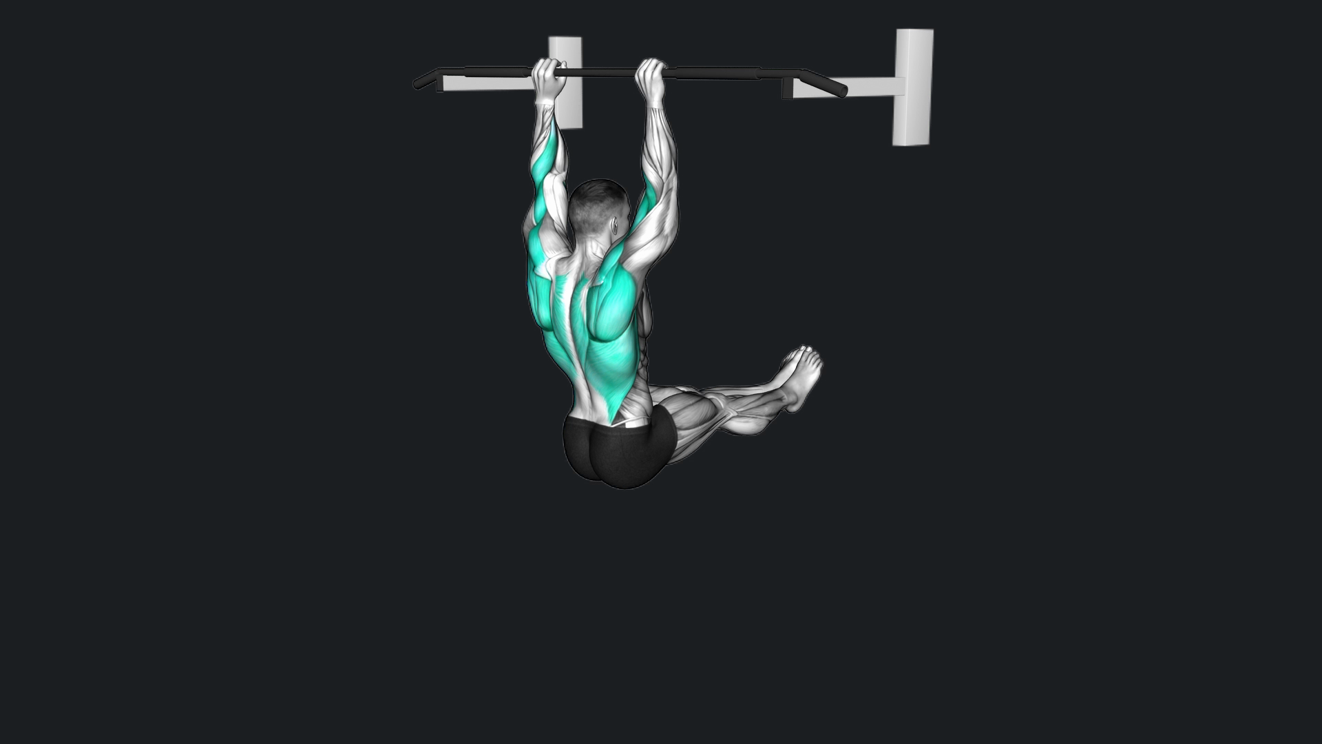 L Sit Pull Up - how to do, Alternatives, gif & More