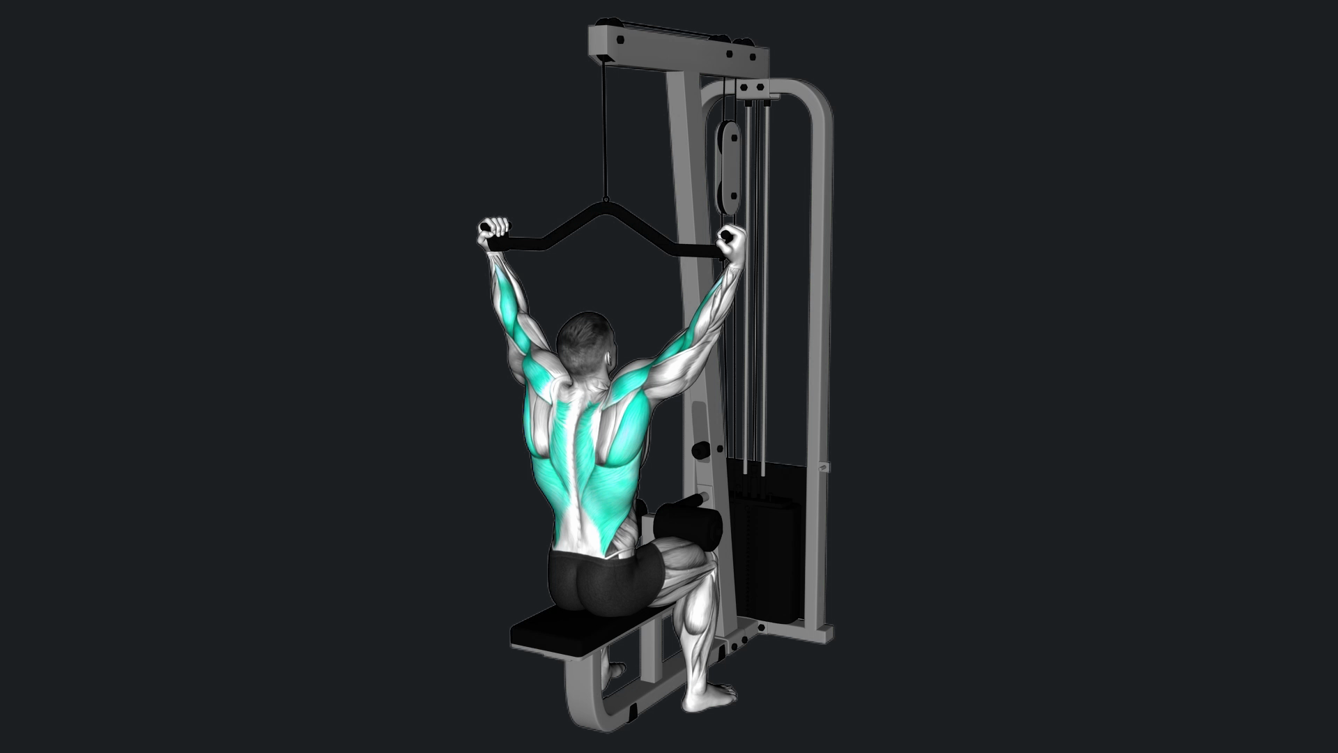 Mag Grip Lat Pulldown - how to do, Alternatives, gif & More