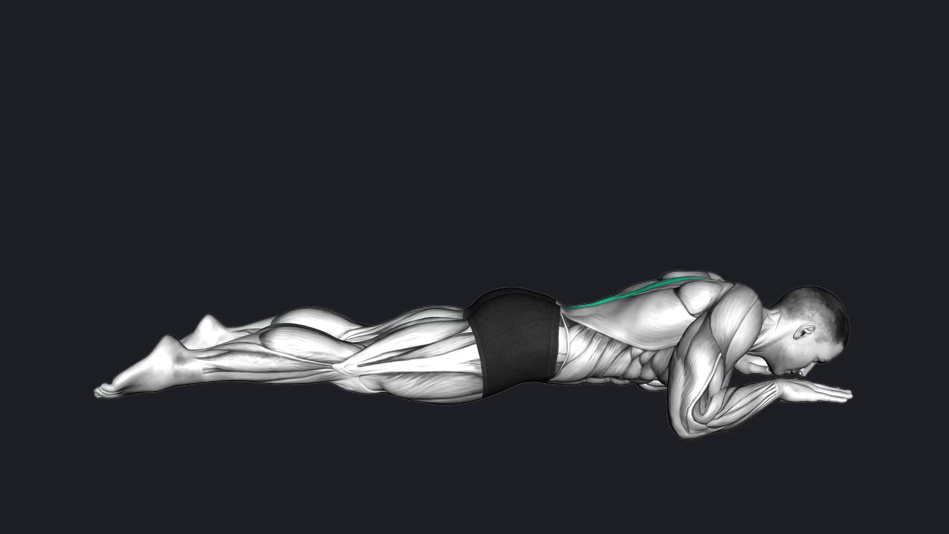 Sphinx Pose - how to do, Alternatives, gif & More