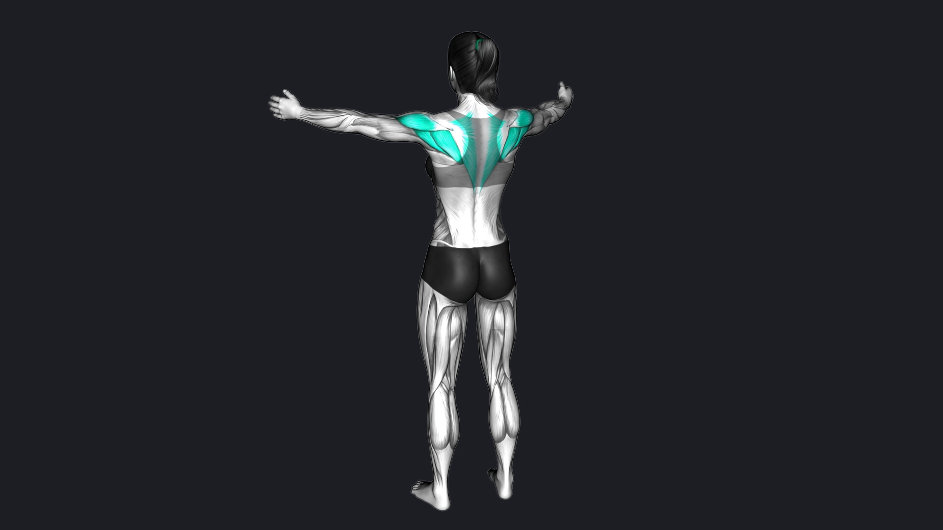 Standing Back Squeeze - how to do, Alternatives, gif & More