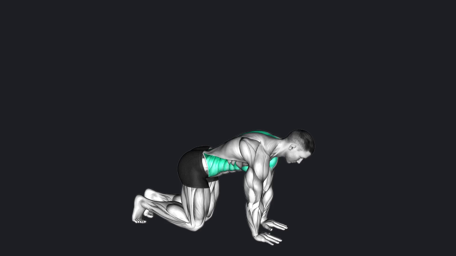 Kneeling Back Rotation Stretch - how to do, Alternatives, gif & More