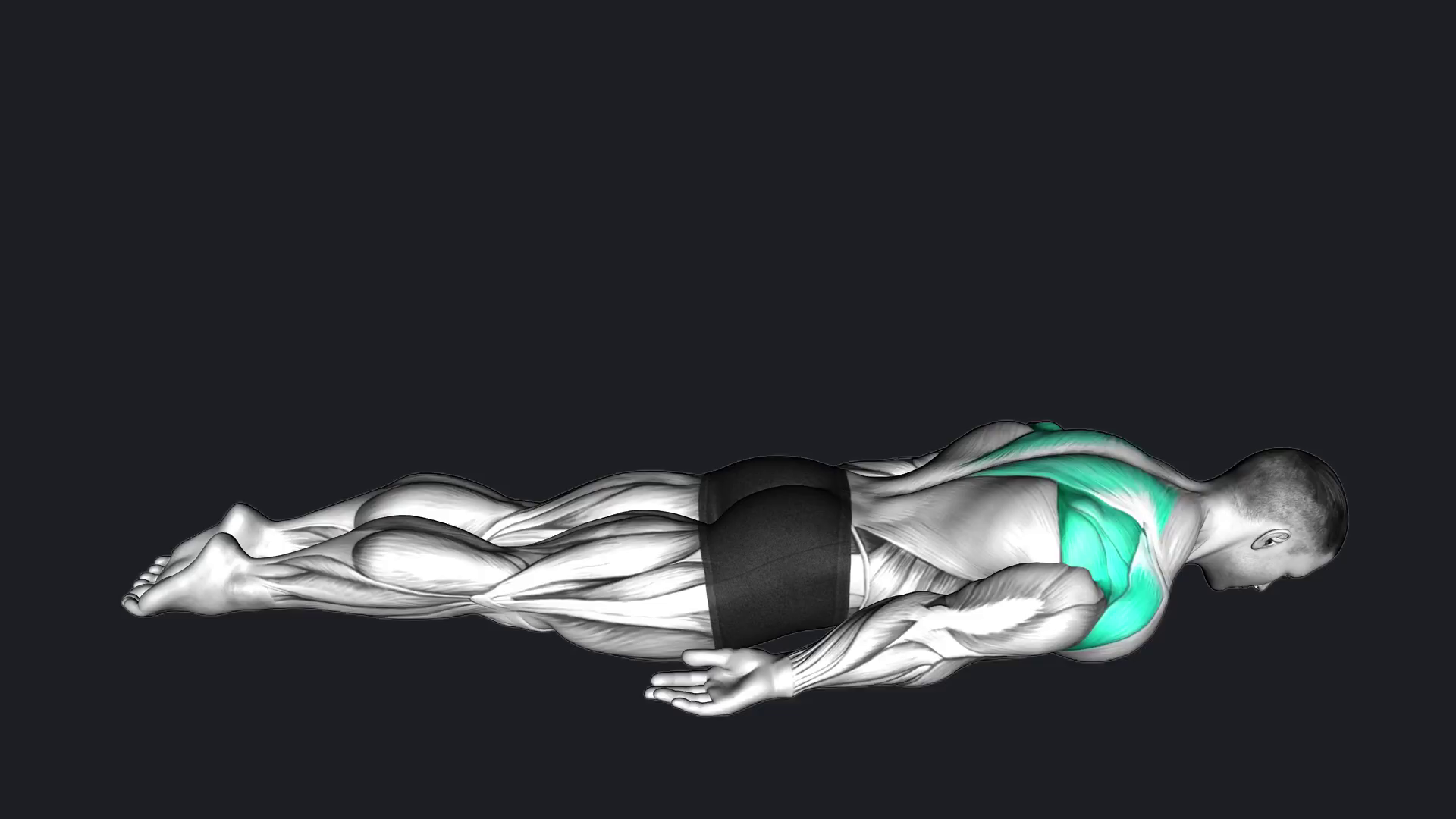 Pulse Row - how to do, Alternatives, gif & More