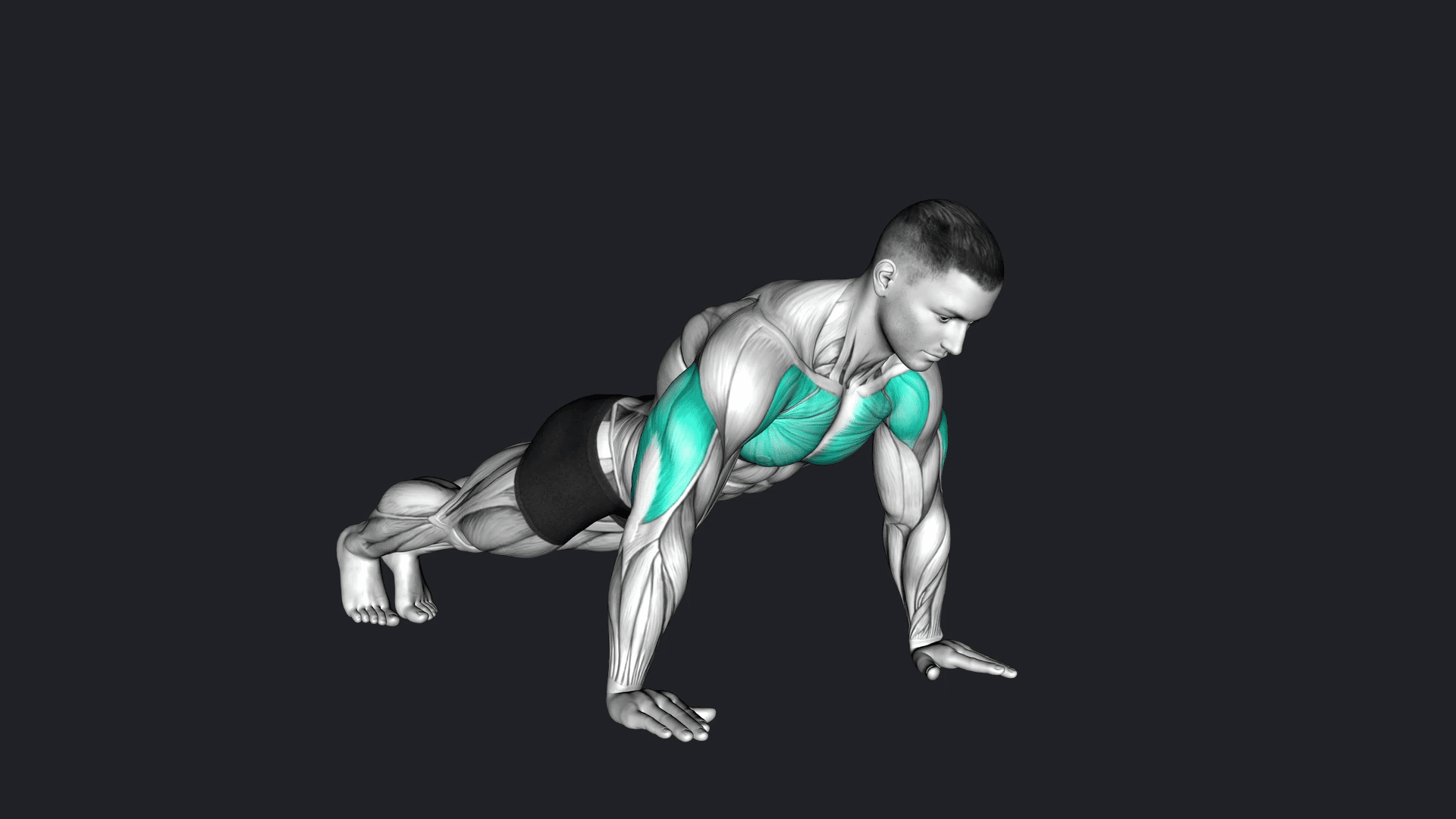 Push Up vs PushUp Plus