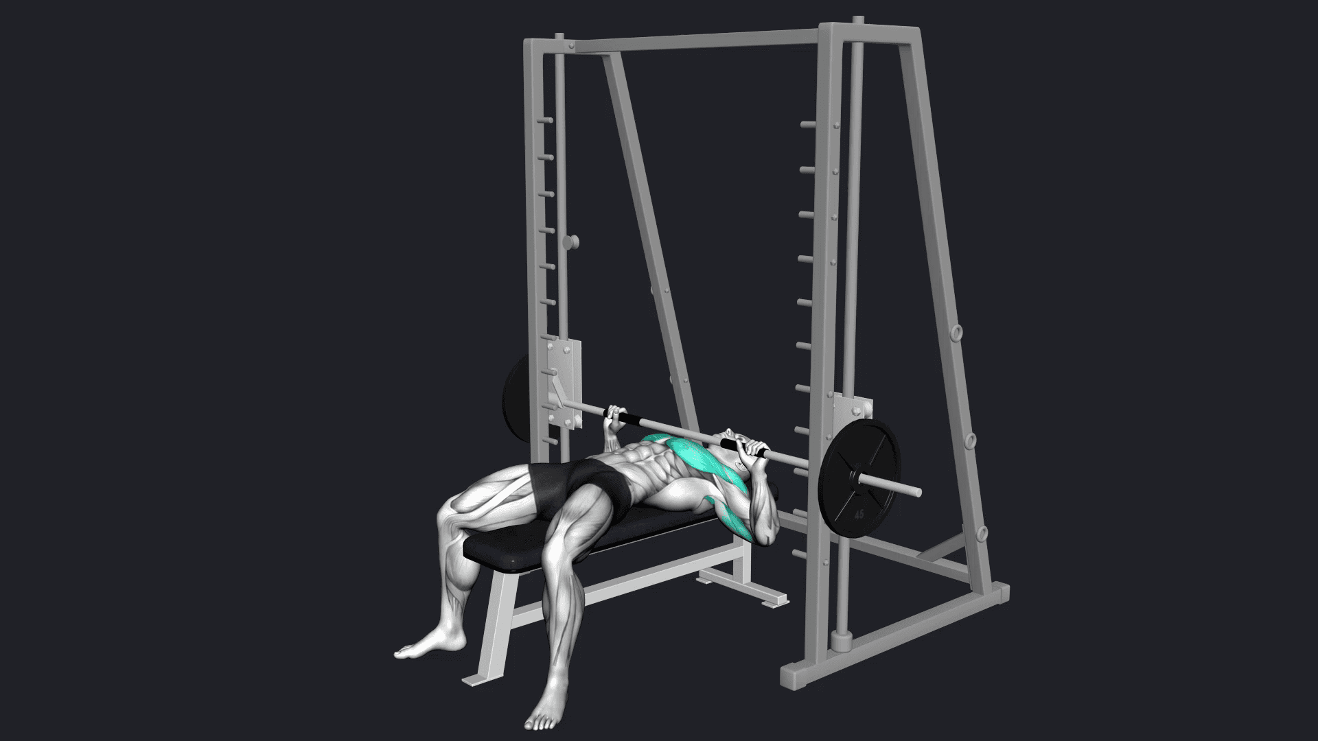 Smith Machine Bench Press vs Band Chest Press