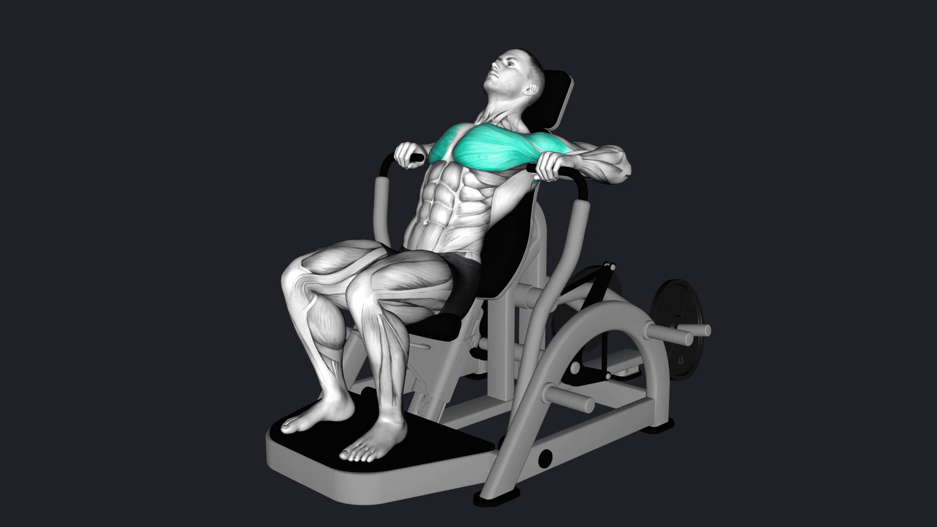 Decline Bench Press Machine vs Torture Pec Deck Fly Machine