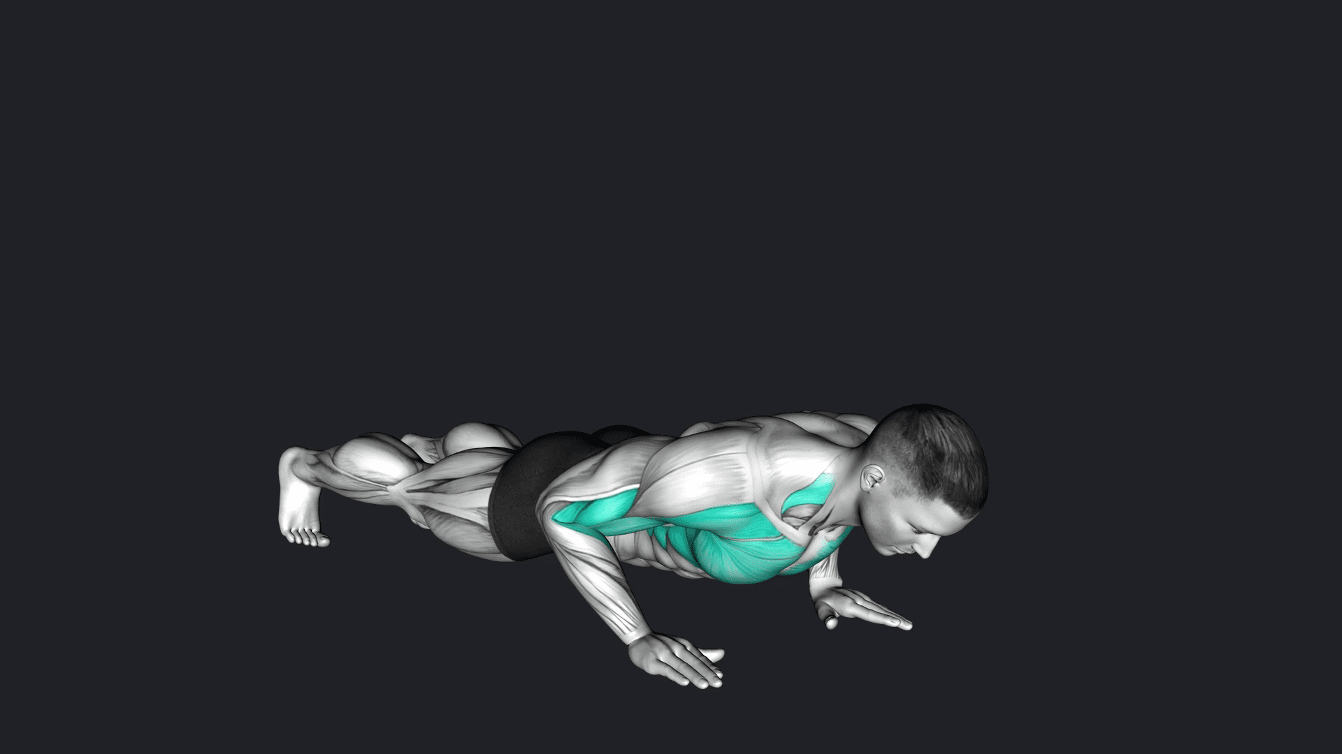 Shoulder tab Push Up vs Knee Push Up