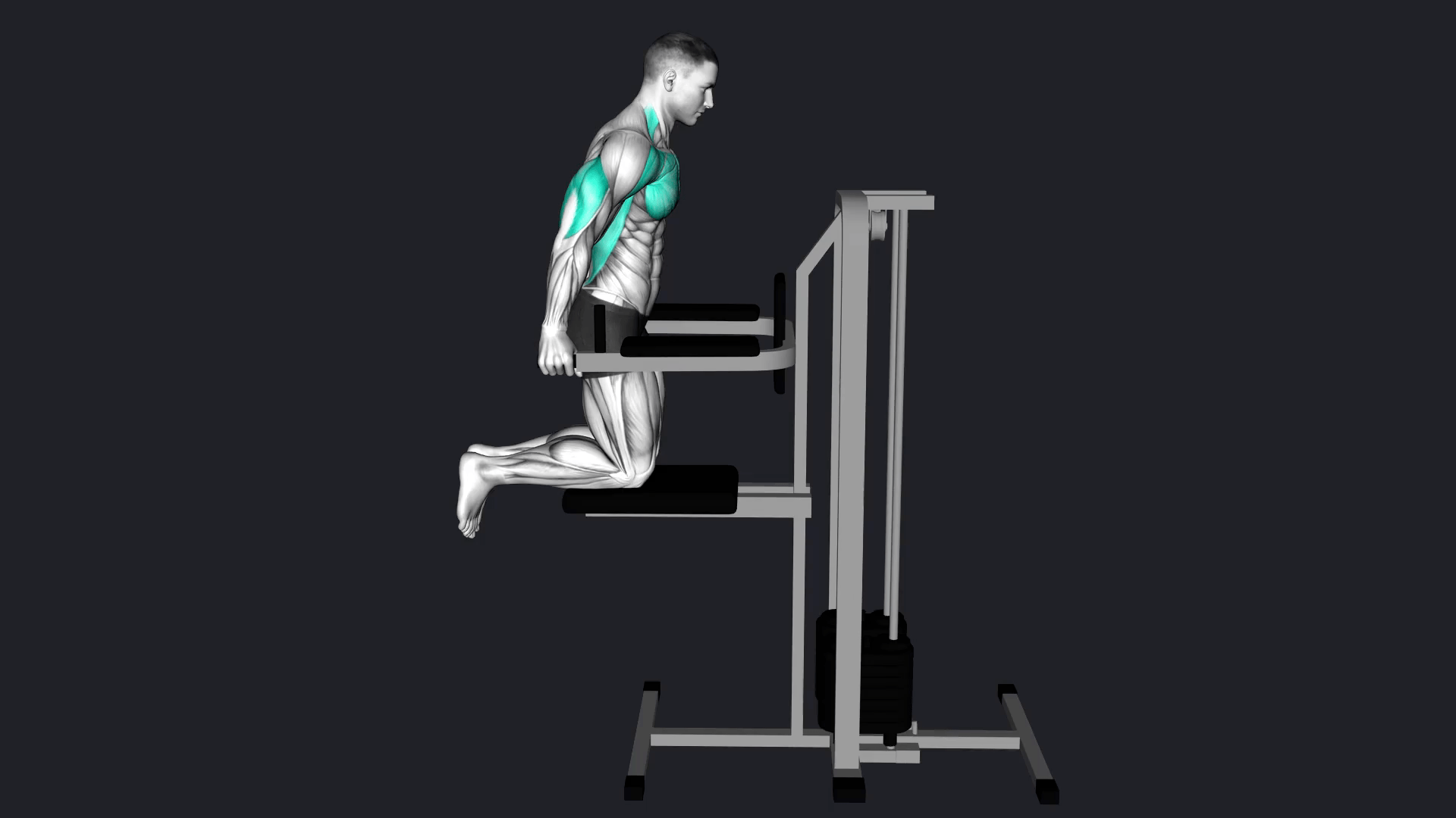 Assisted Dips vs Torture Pec Deck Fly Machine