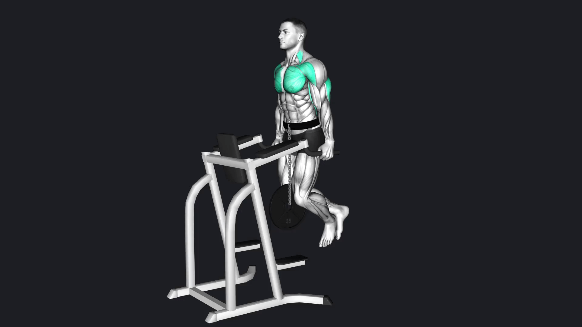 Weighted Dips vs Chest Fly and Pressup