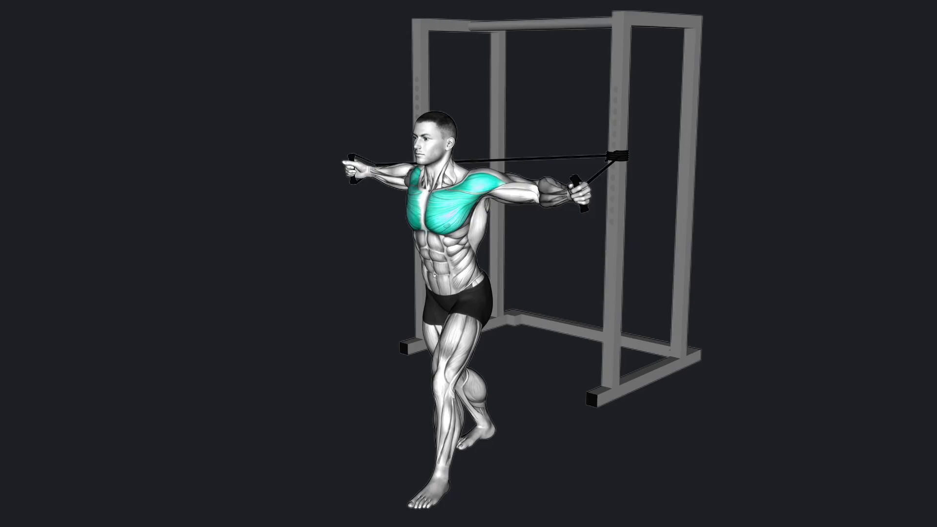 Band Chest Fly vs Torture Pec Deck Fly Machine