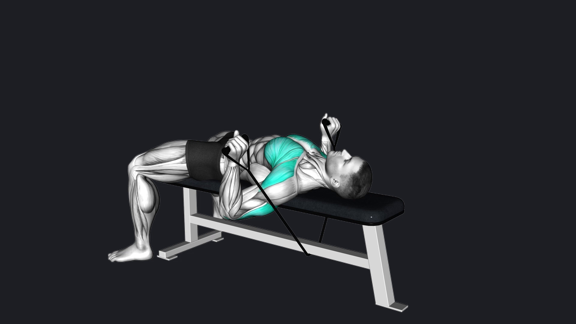 Band Bench Press - how to do, Alternatives, gif & More