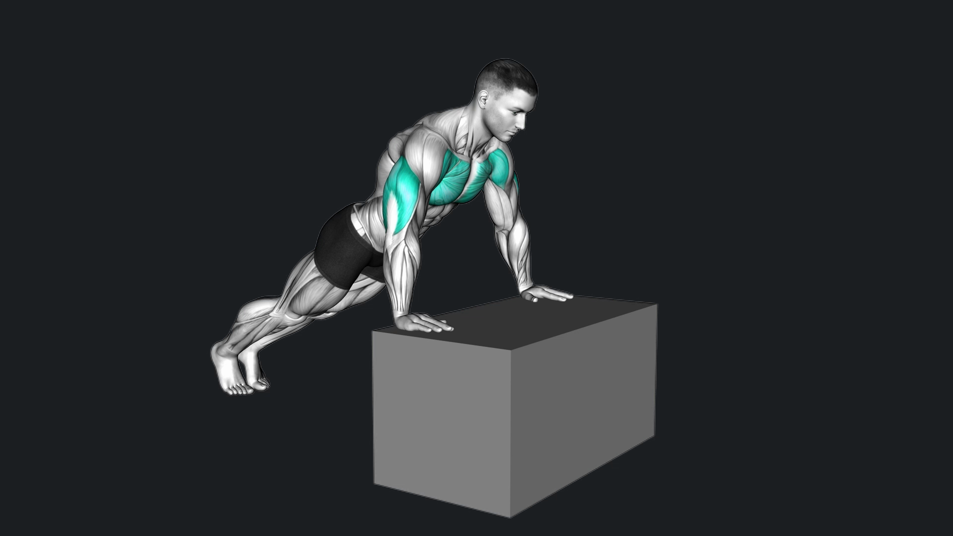 Step Box Push Up - how to do, Alternatives, gif & More