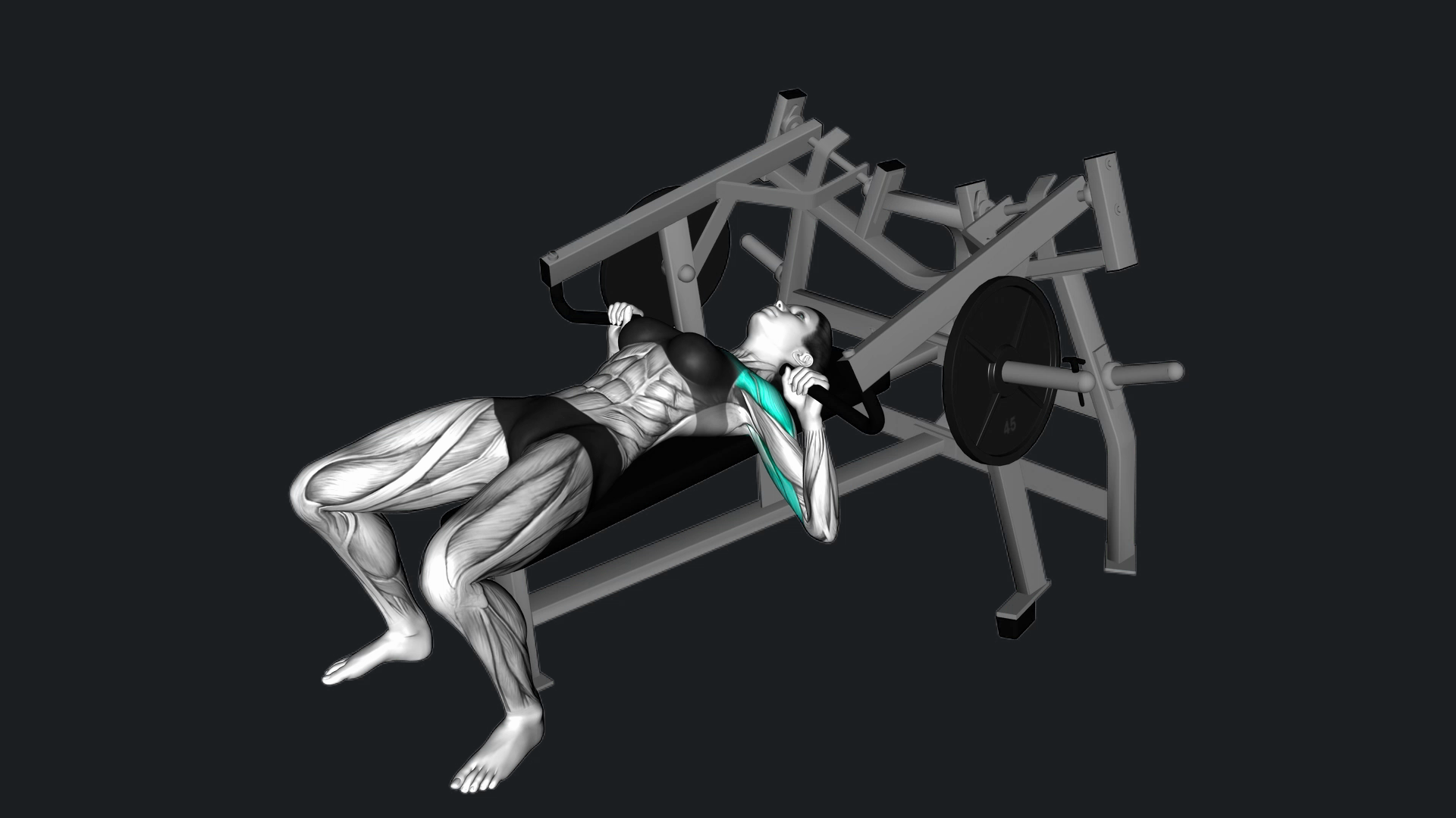 Incline Hammer Bench Press - how to do, Alternatives, gif & More