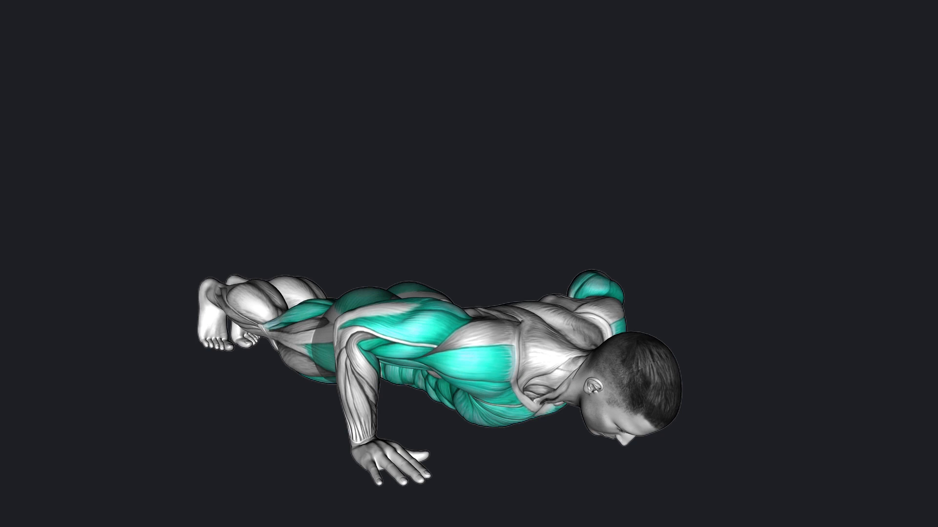 Rotational Push-up Knee Tap - how to do, Alternatives, gif & More