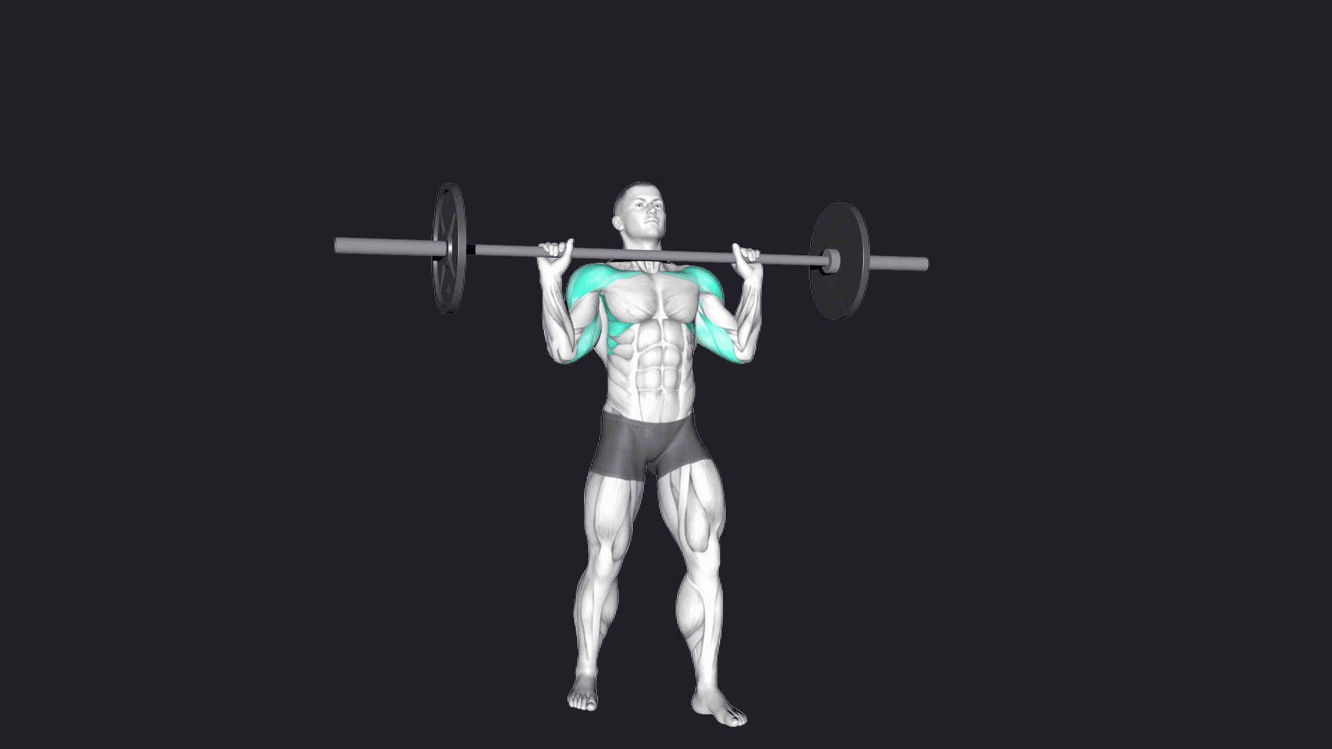 Overhead Press vs Dumbbell Lateral Raise Overhead Press vs Dumbbell Lateral Raise