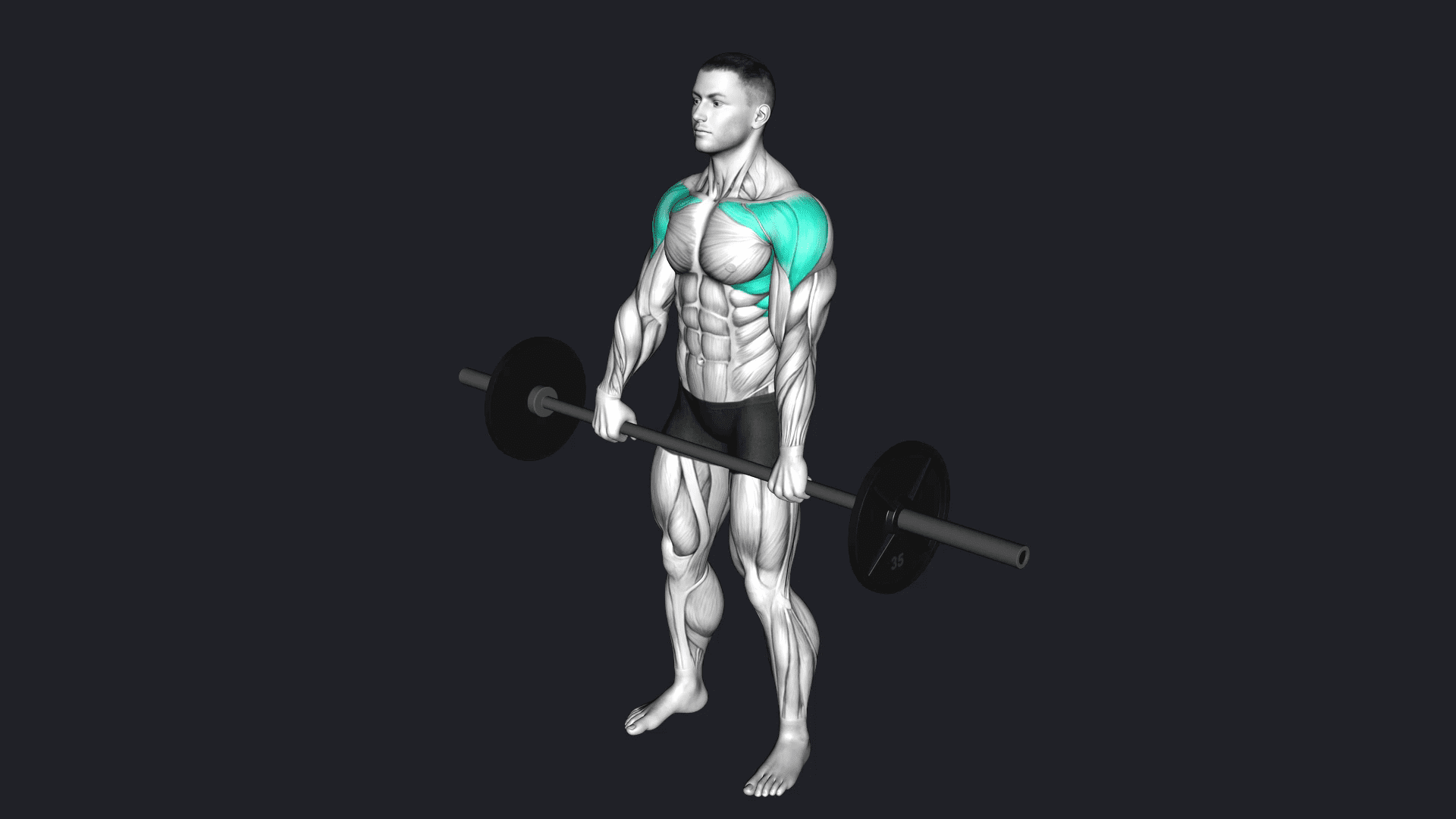Barbell Front Raise vs One Arm Dumbbell Shoulder Press