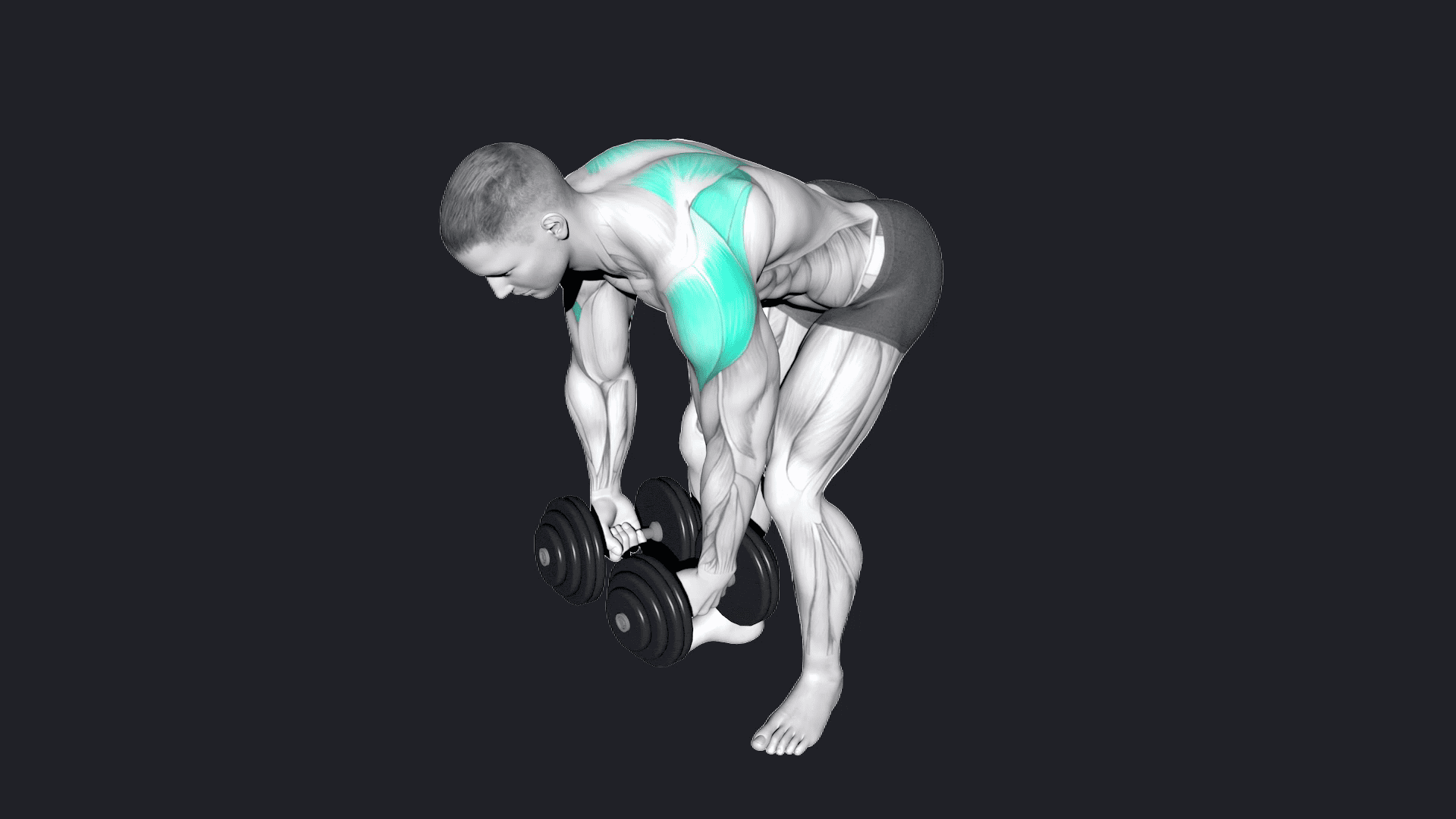 Dumbbell Bent Over Lateral Raise vs Bent Over Lateral Raise Machine