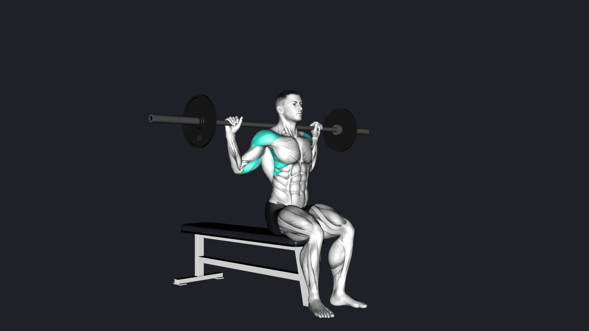 Behind Neck Press vs One Arm Dumbbell Shoulder Press