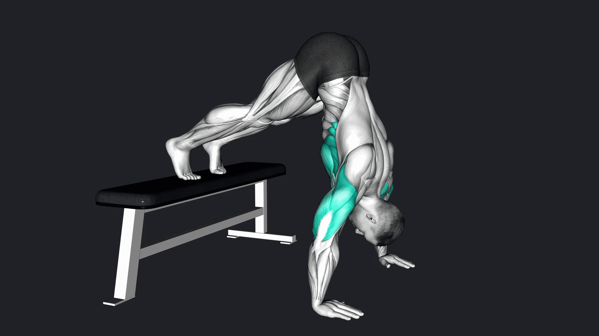 Pike Push Up - how to do, Alternatives, gif & More