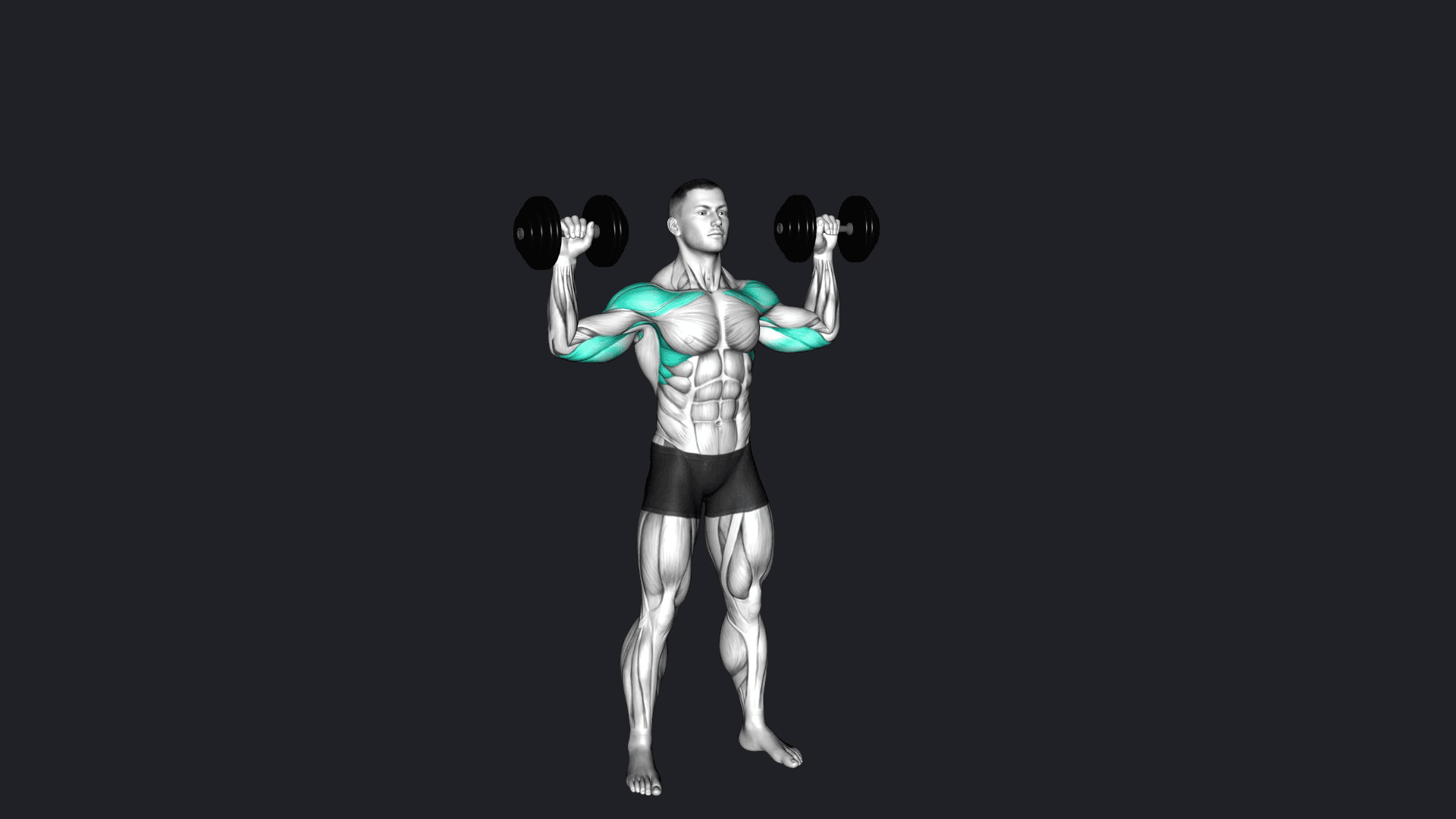 One Arm Dumbbell Shoulder Press vs Dumbbell Behind Neck Press