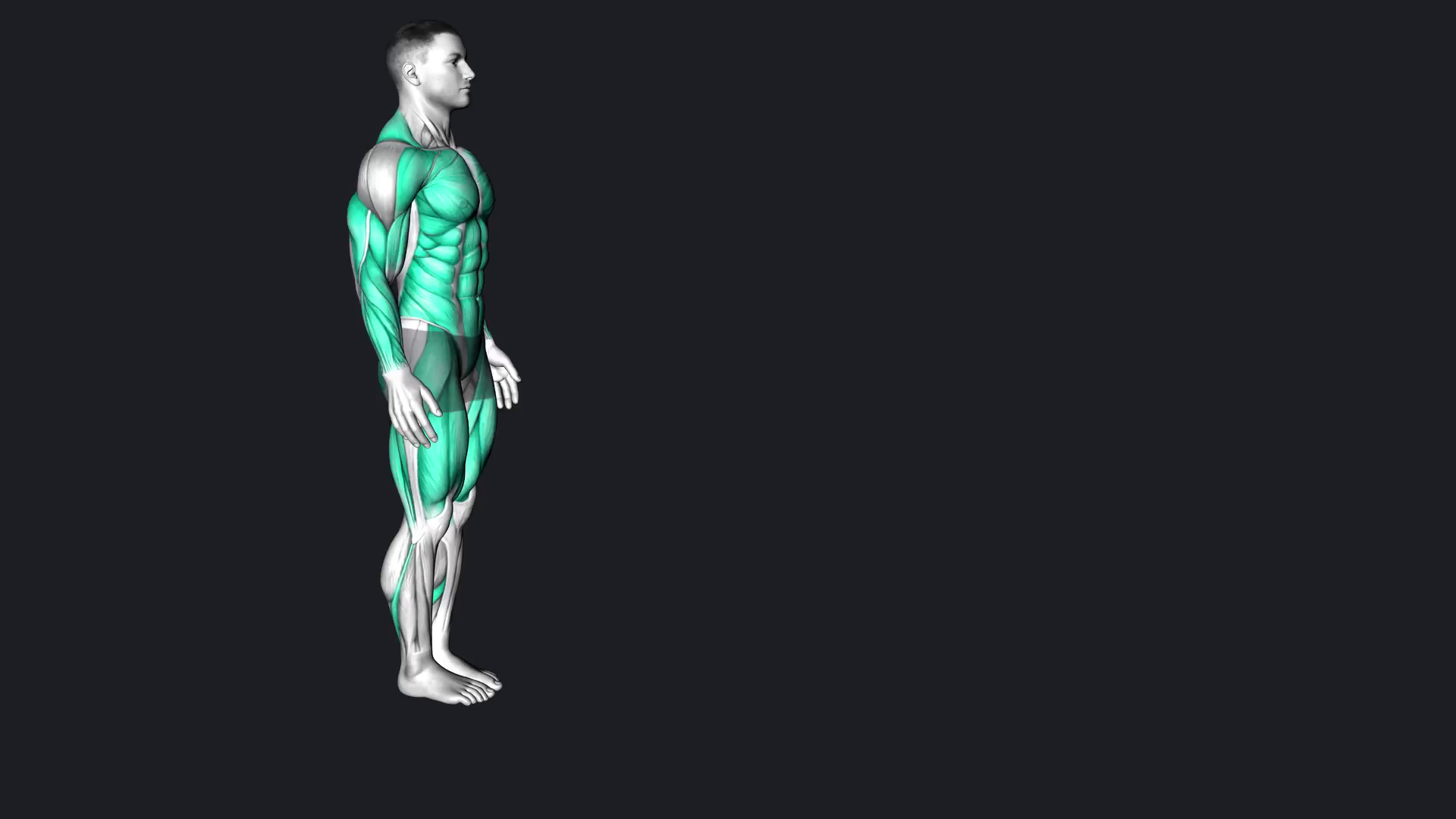 Arm Walking Push Up - how to do, Alternatives, gif & More