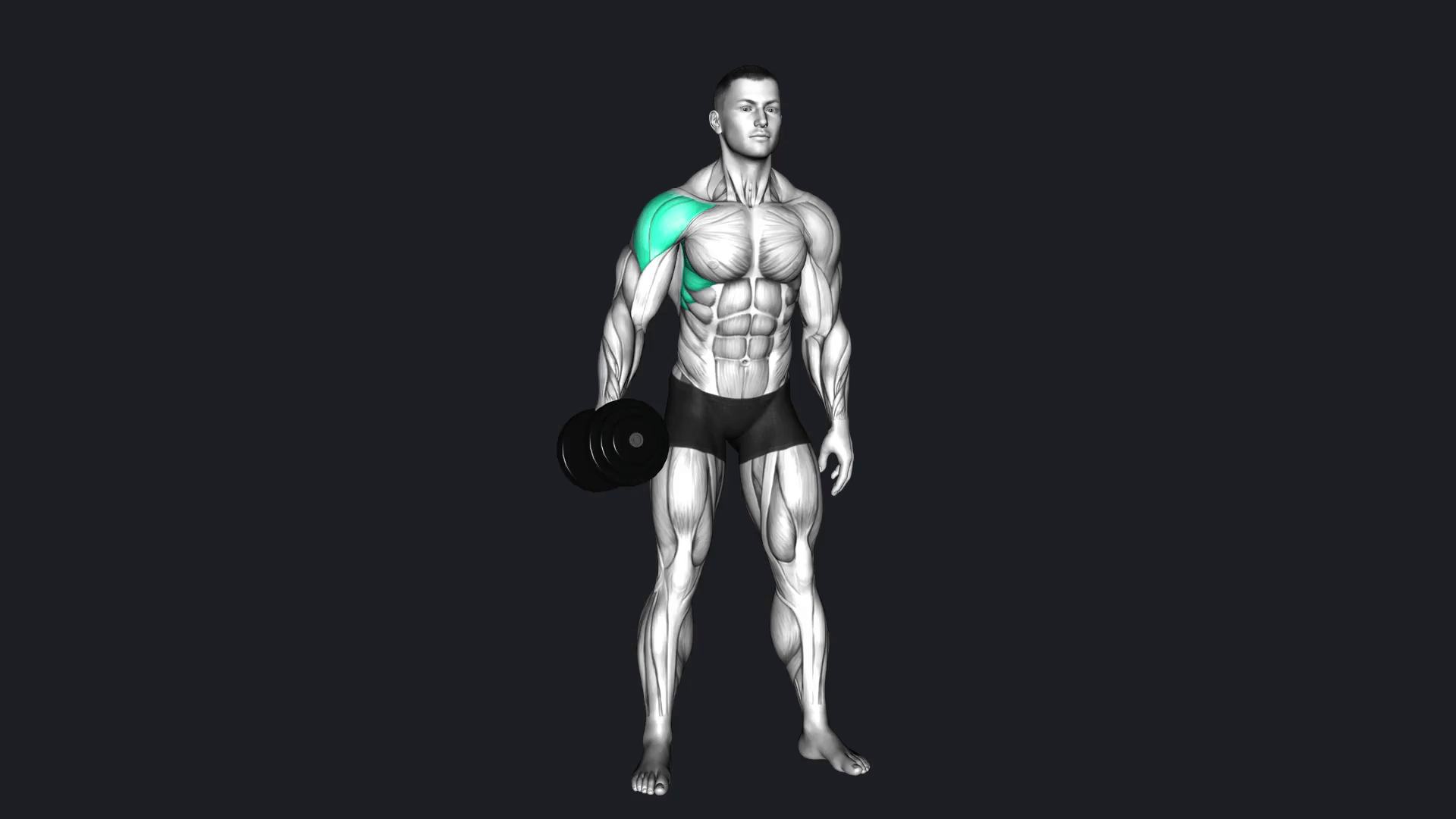One Arm Dumbbell Lateral Raise - how to do, Alternatives, gif & More