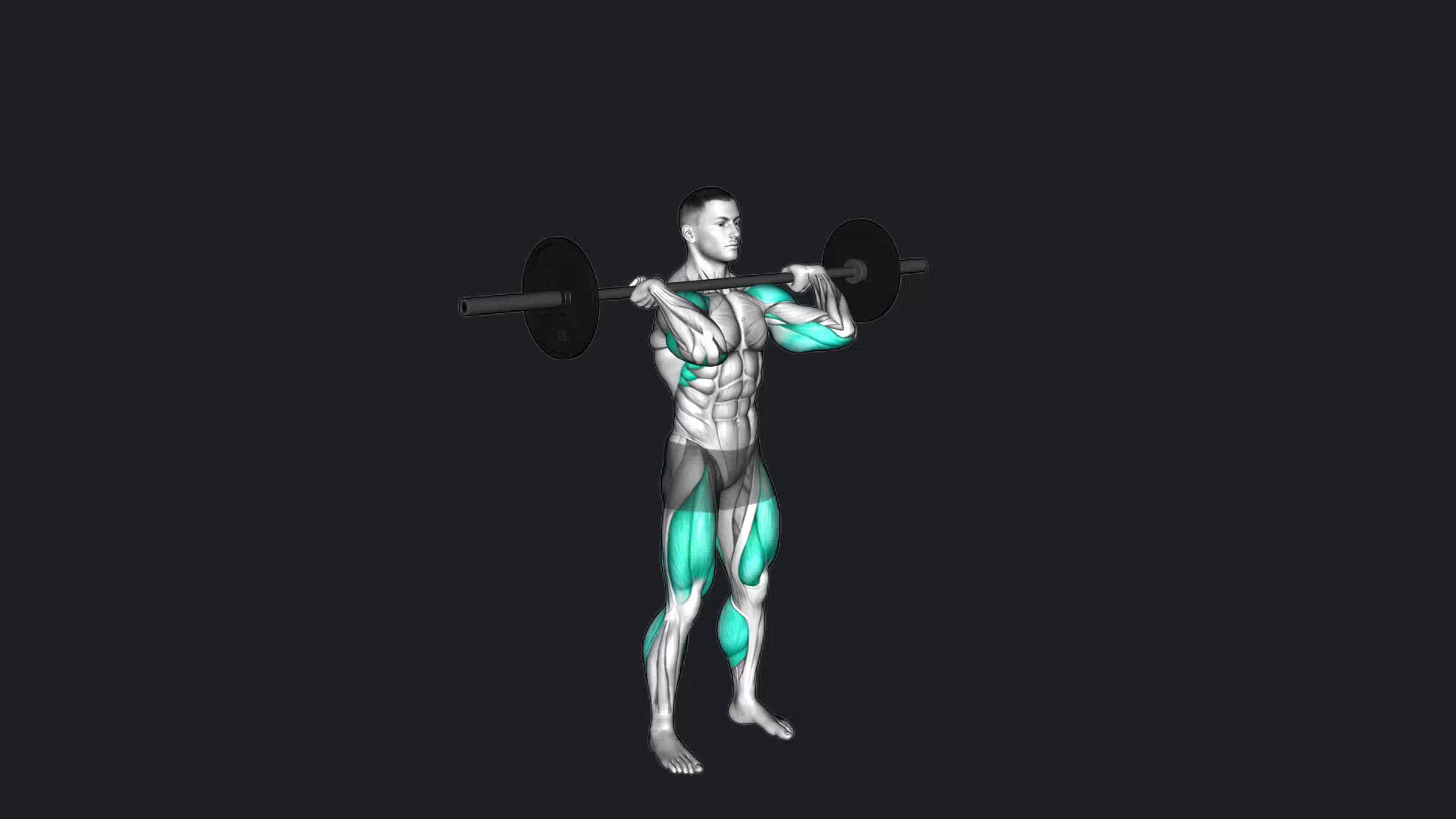 Barbell Push Jerk - how to do, Alternatives, gif & More