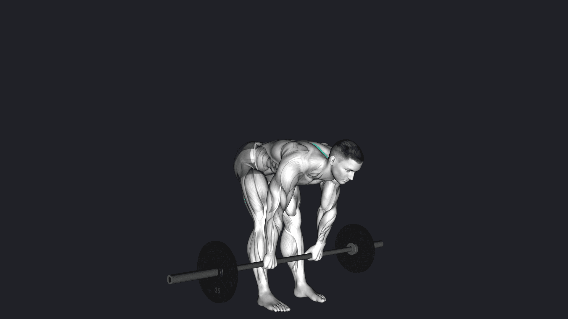 Barbell Stiff Leg Deadlift vs Standing Calf Raise Machine