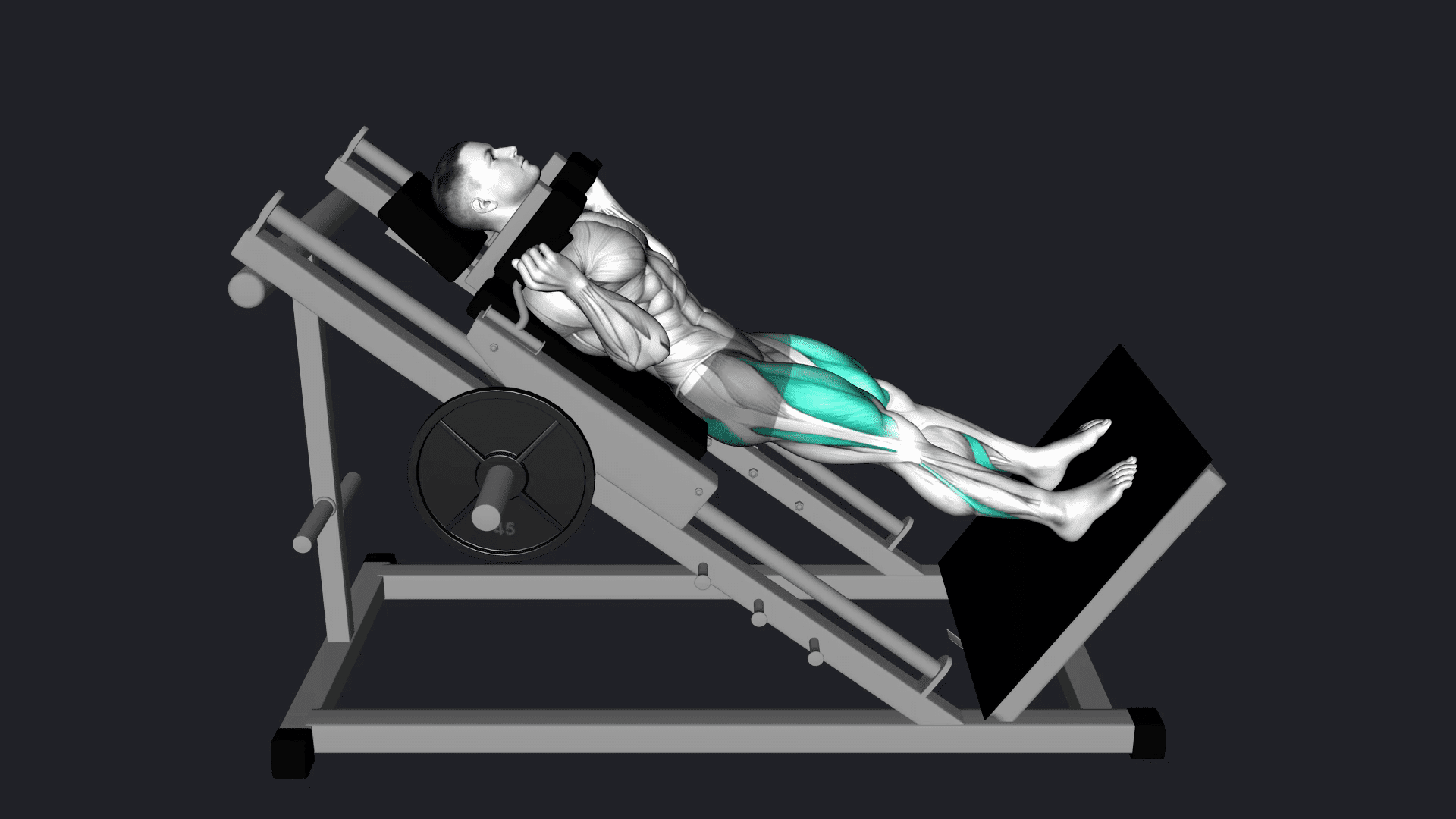 Hack Squat Machine - how to do, Alternatives, gif & More